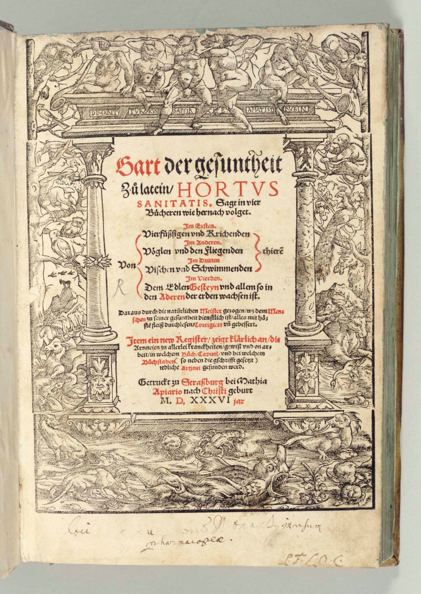 ALBERTUS MAGNUS (?1193-1280). Thierbuch. Von Art Natur und Eygenschafft ...