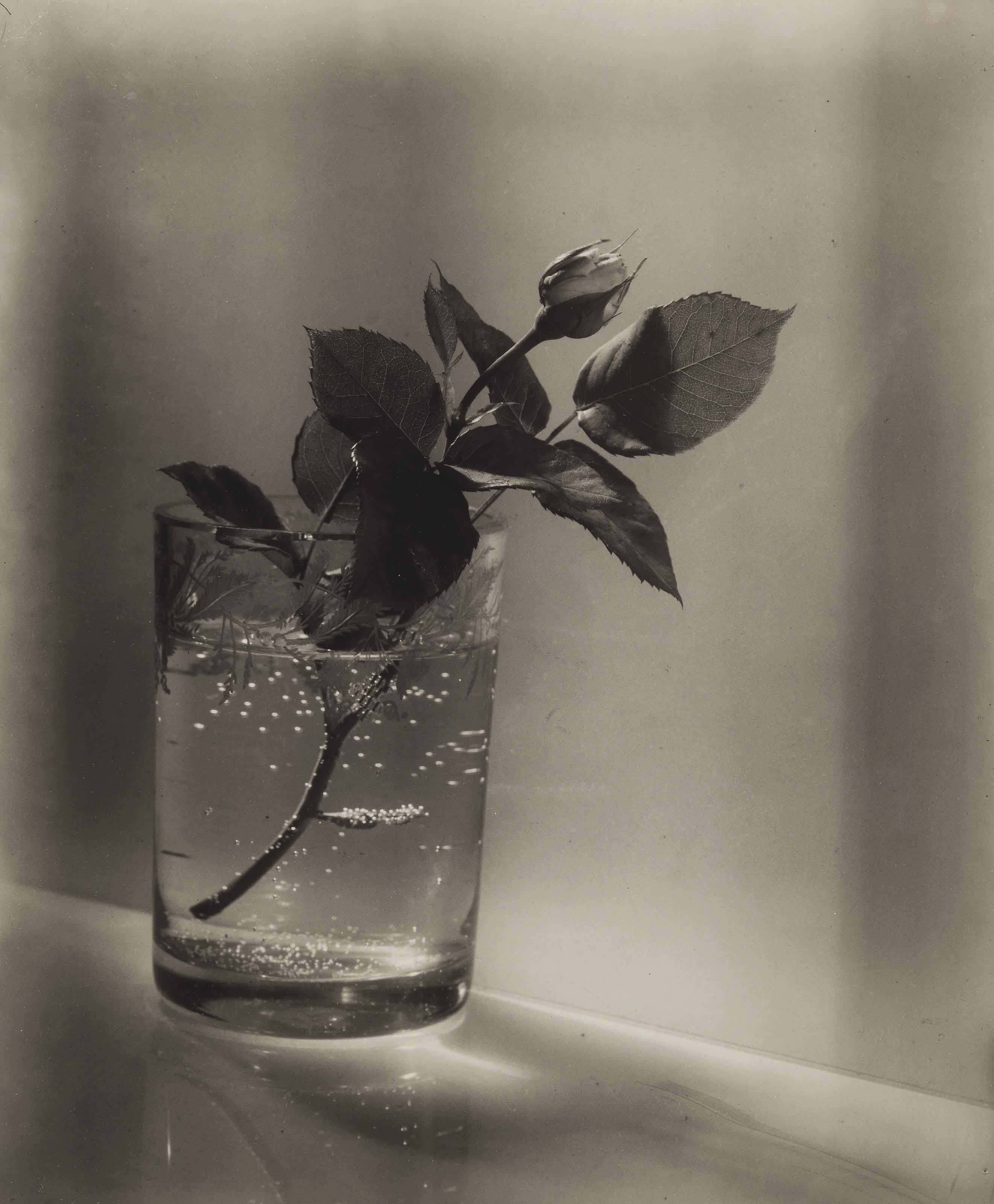 Josef Sudek (1896-1976), Still Life with Watermelon, 1950s | Christie's