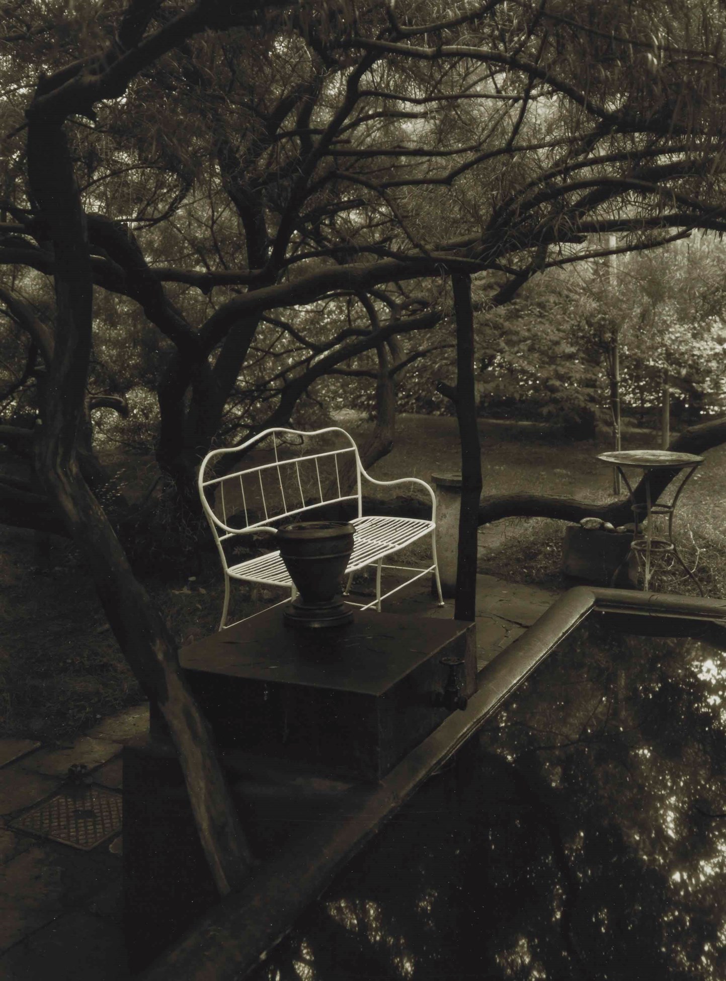 Josef Sudek (1896-1976), From the Series 'In the Magic Garden', 1950s ...
