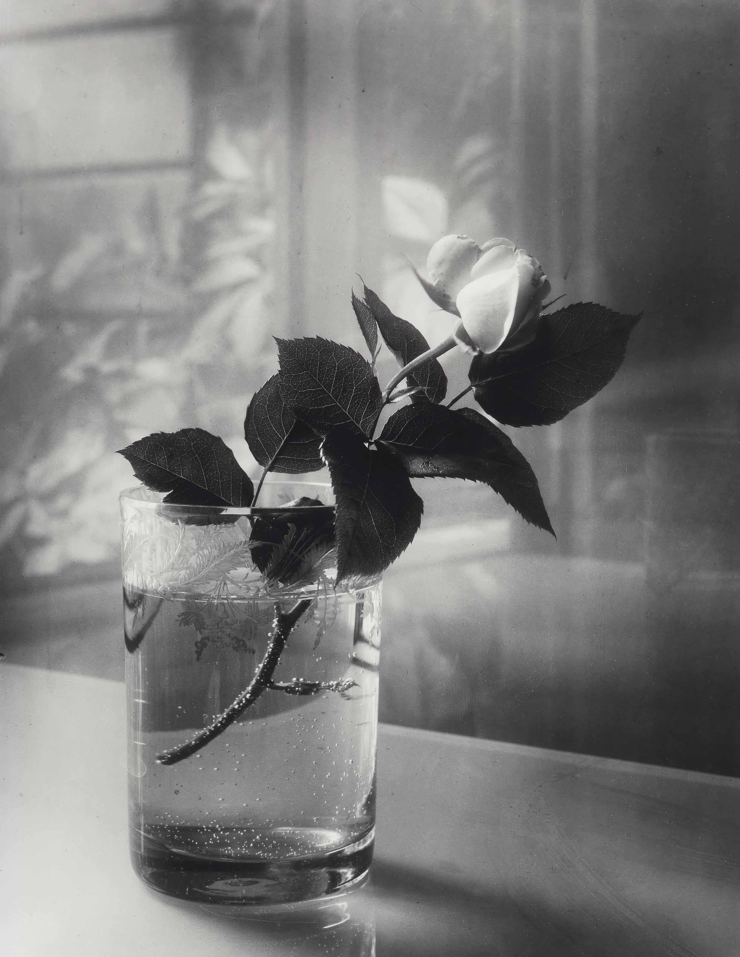 Josef Sudek Still Life Photography