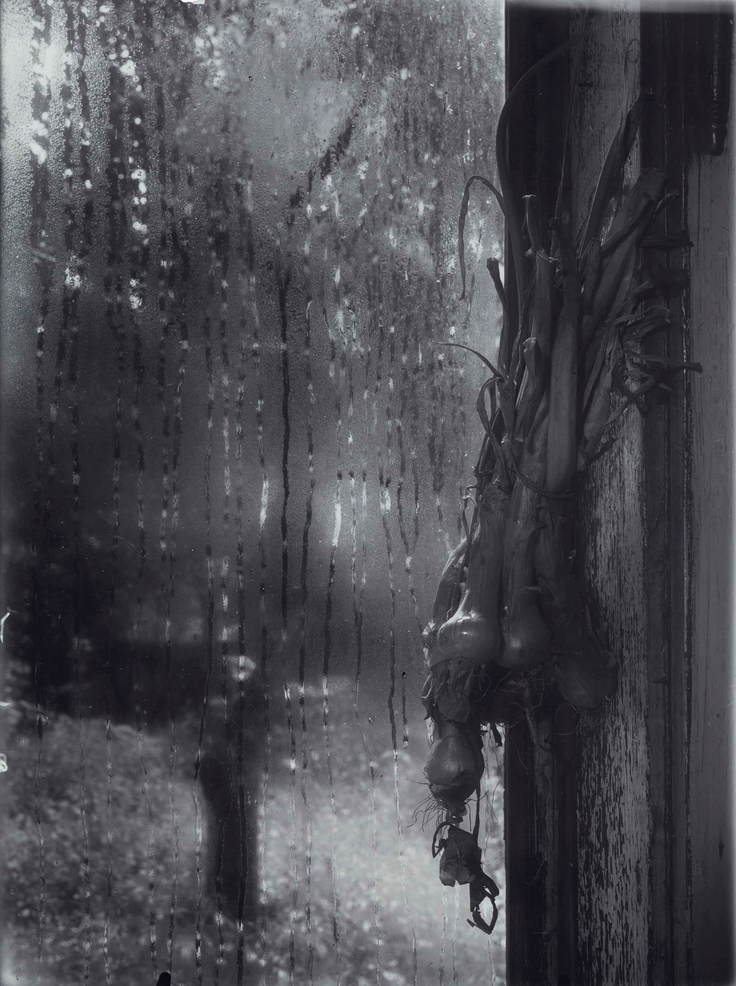 Josef Sudek (1896-1976)
