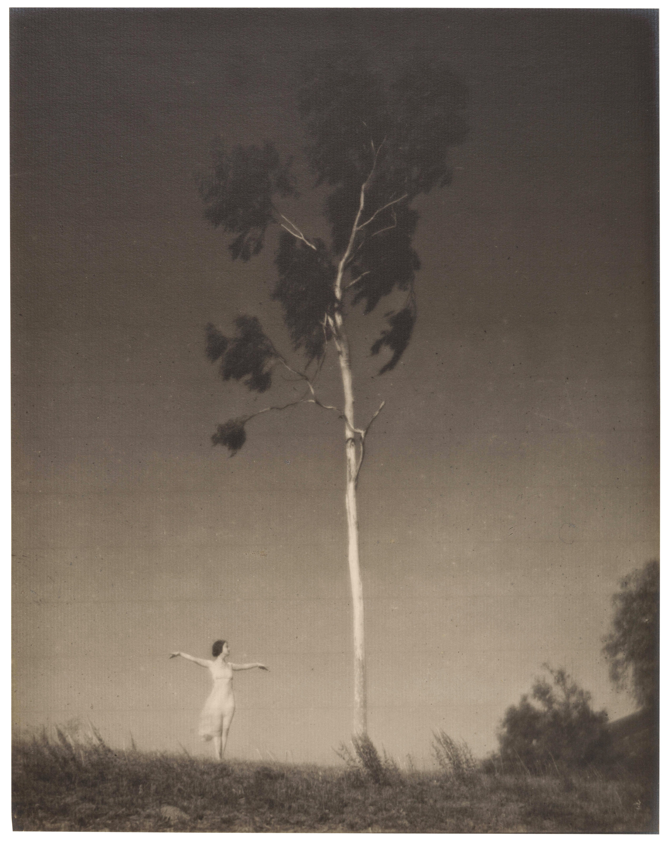 'Eucalyptus', 1921 and 'Outdoor study of a dancer', c. 1925, Karl ...