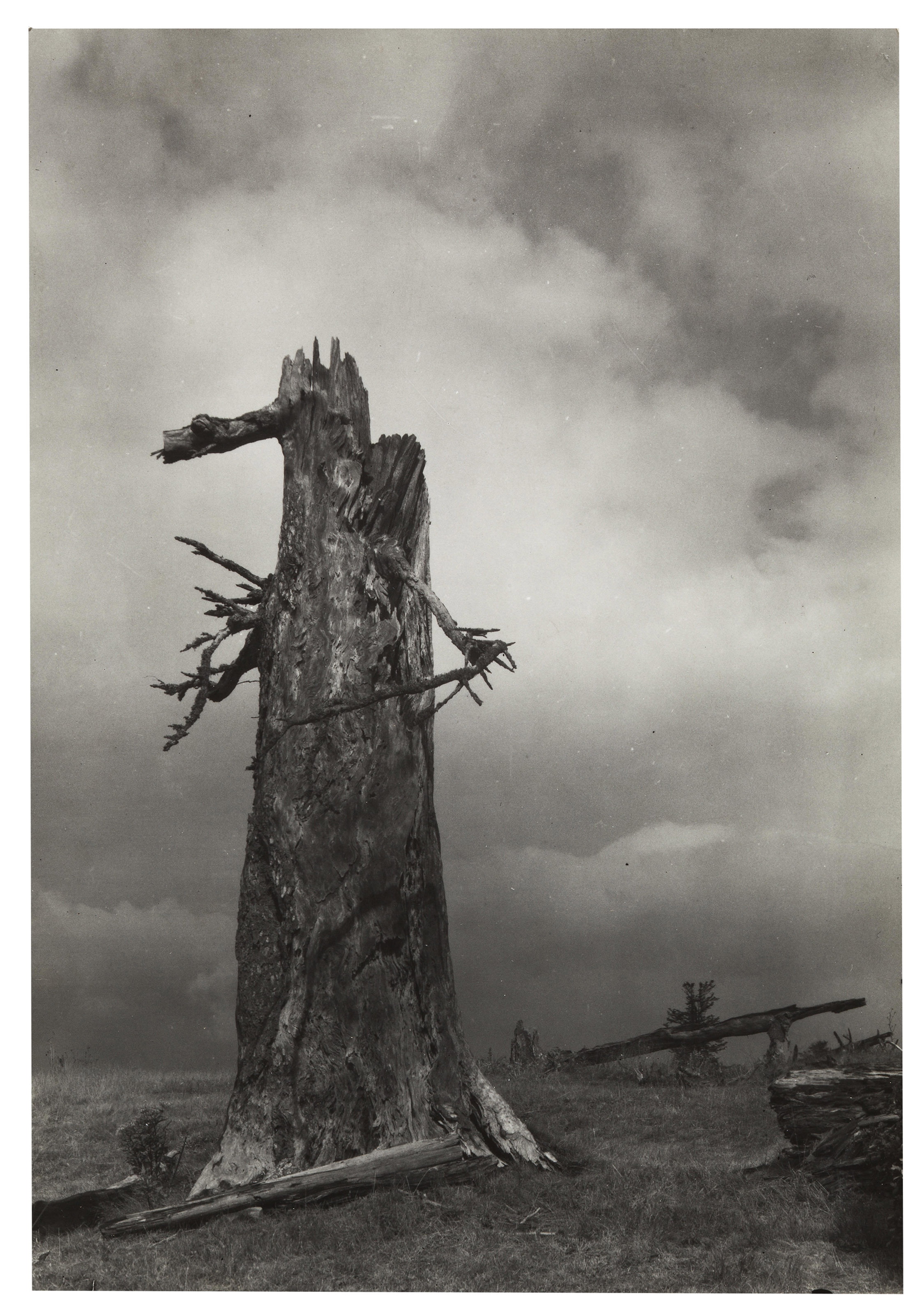 JOSEF SUDEK (1896–1976), From the series, Vanished Statues in Mionsi ...