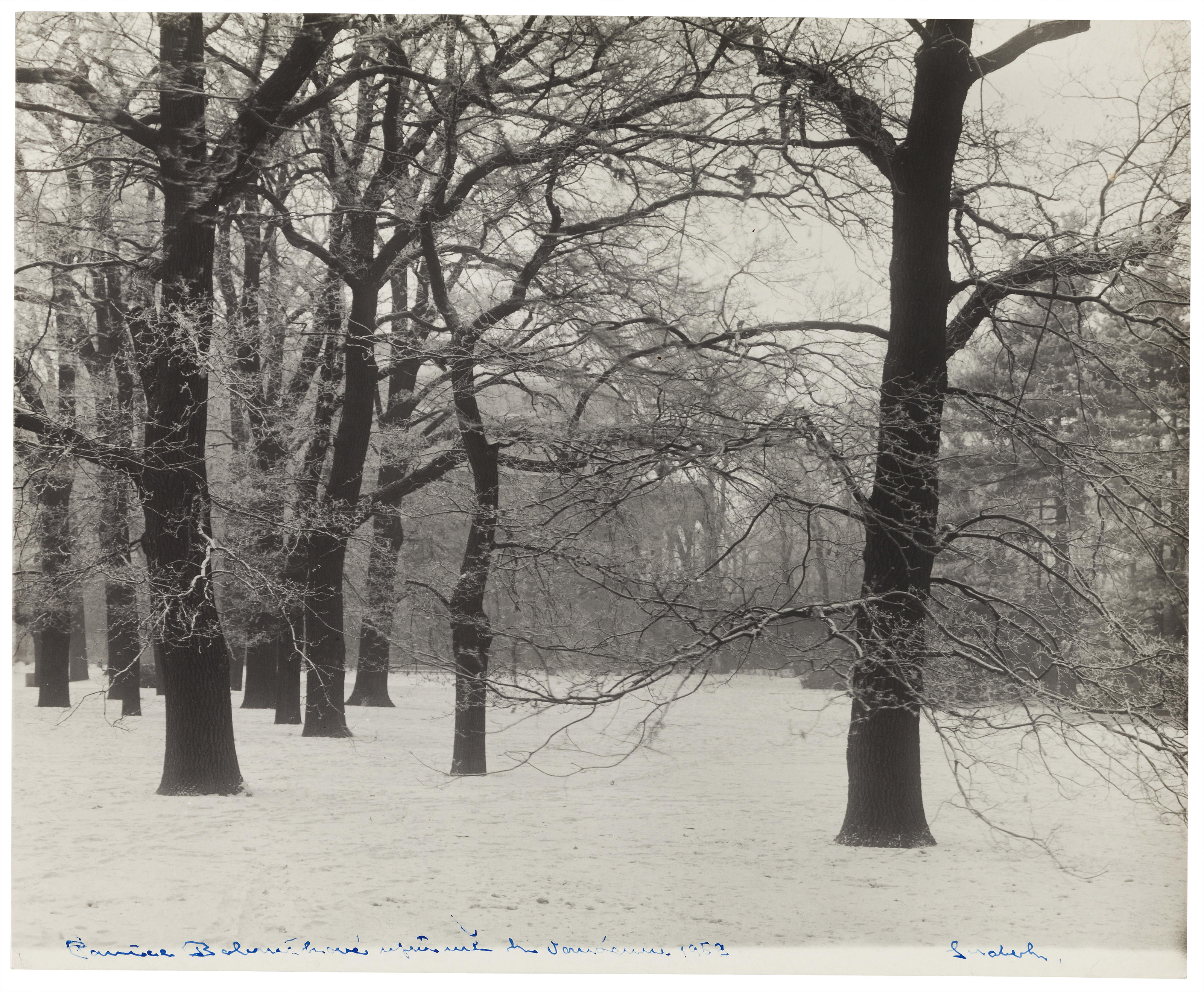 JOSEF SUDEK (1896–1976), Royal Gardens in Winter, Prague, 1959 | Christie’s