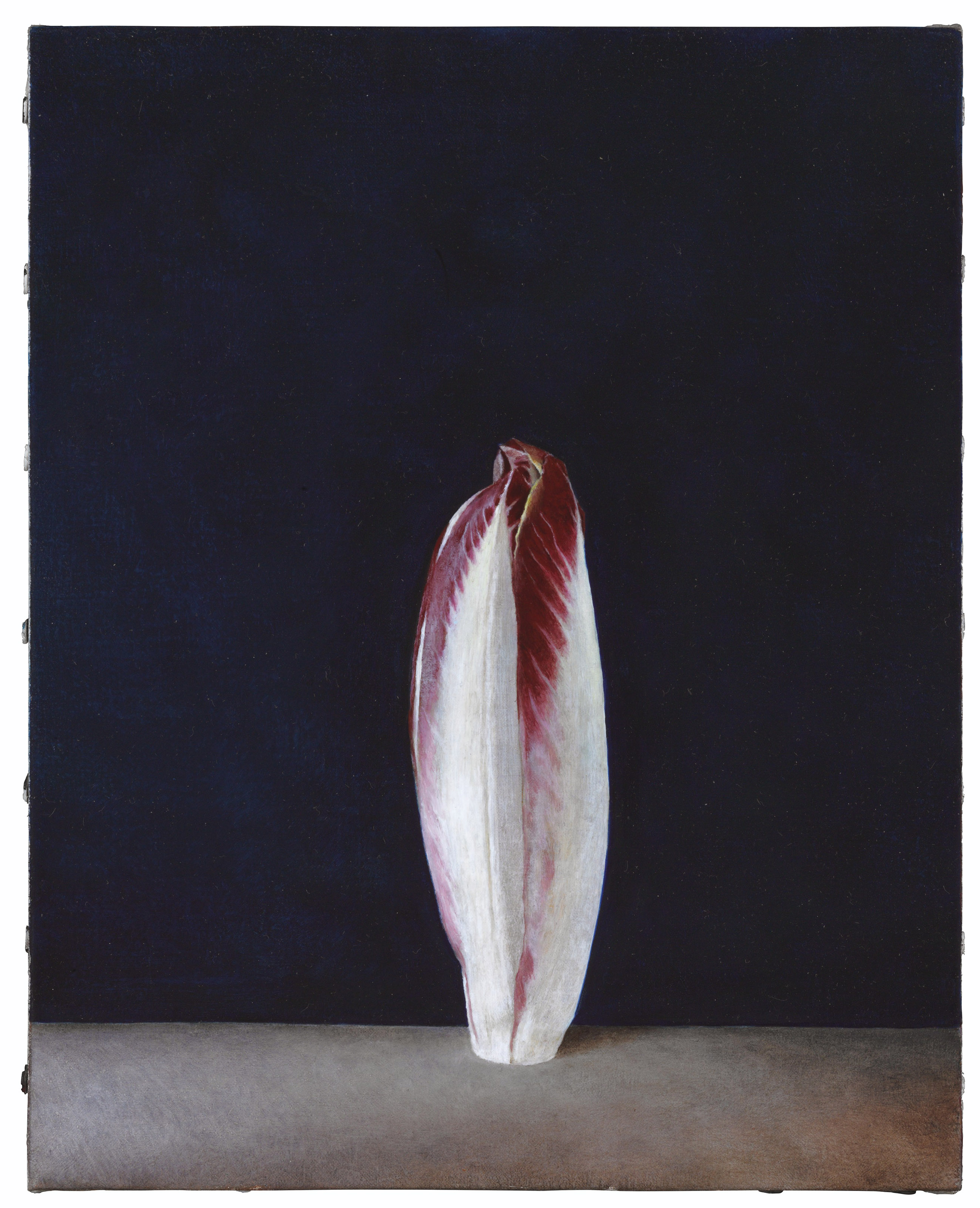 DANIEL SINSEL (B. 1976), Untitled (radicchio) | Christie’s
