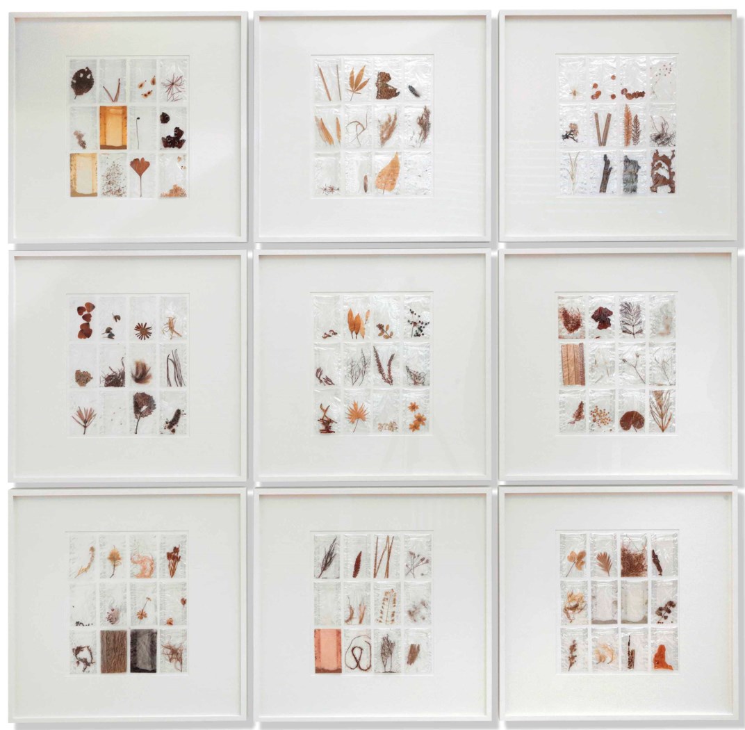 Herman de Vries (b. 1931), Untitled | Christie's