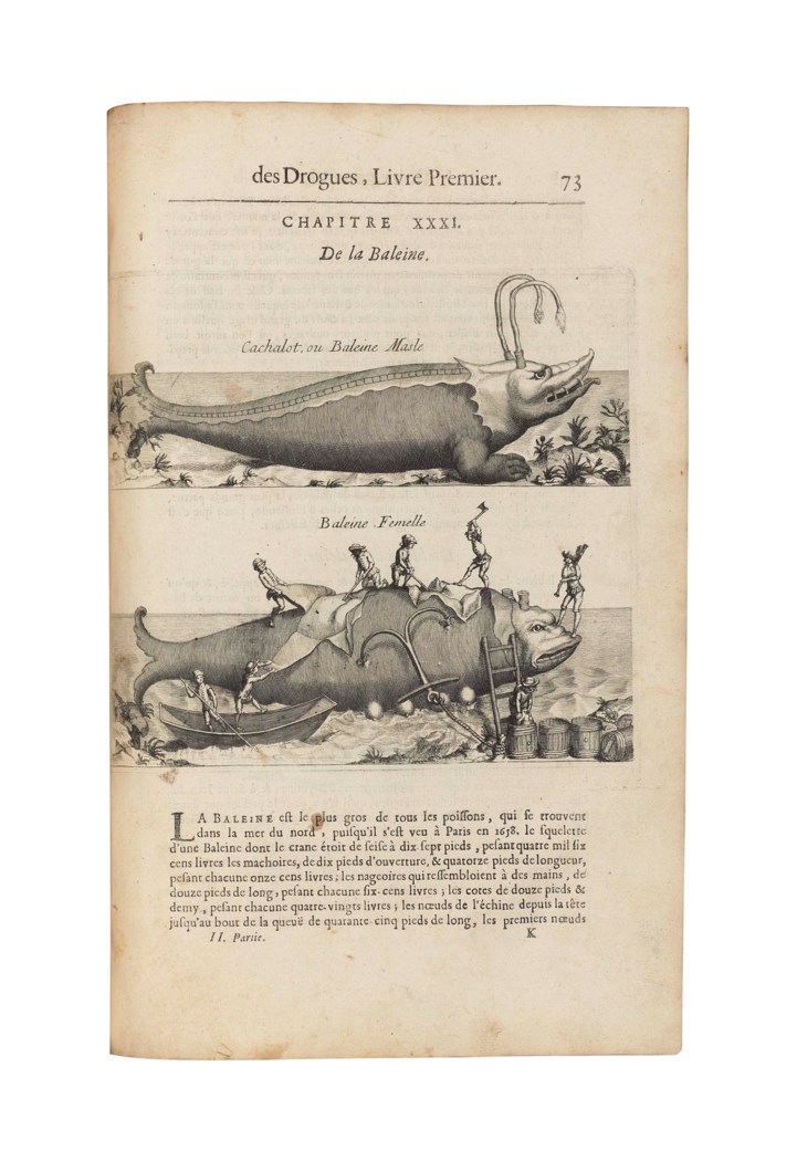 POMET, Pierre (1658-1690). Histoire générale des drogues. Paris: Jean ...