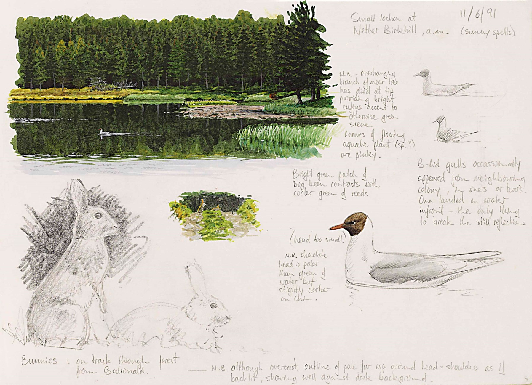 Chris Rose (b. 1959)