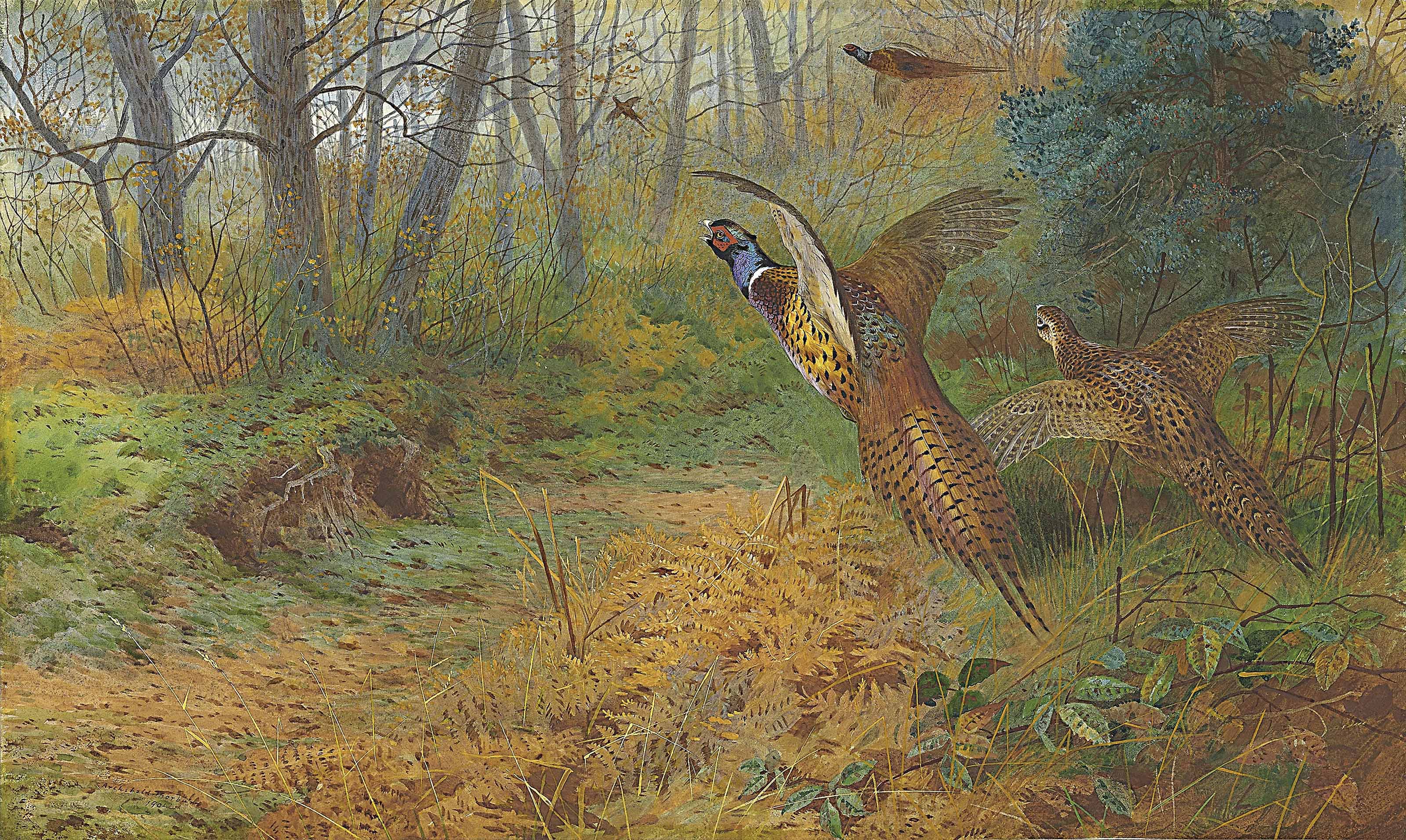 Archibald Thorburn - Lose in unserem Preisarchiv - LotSearch