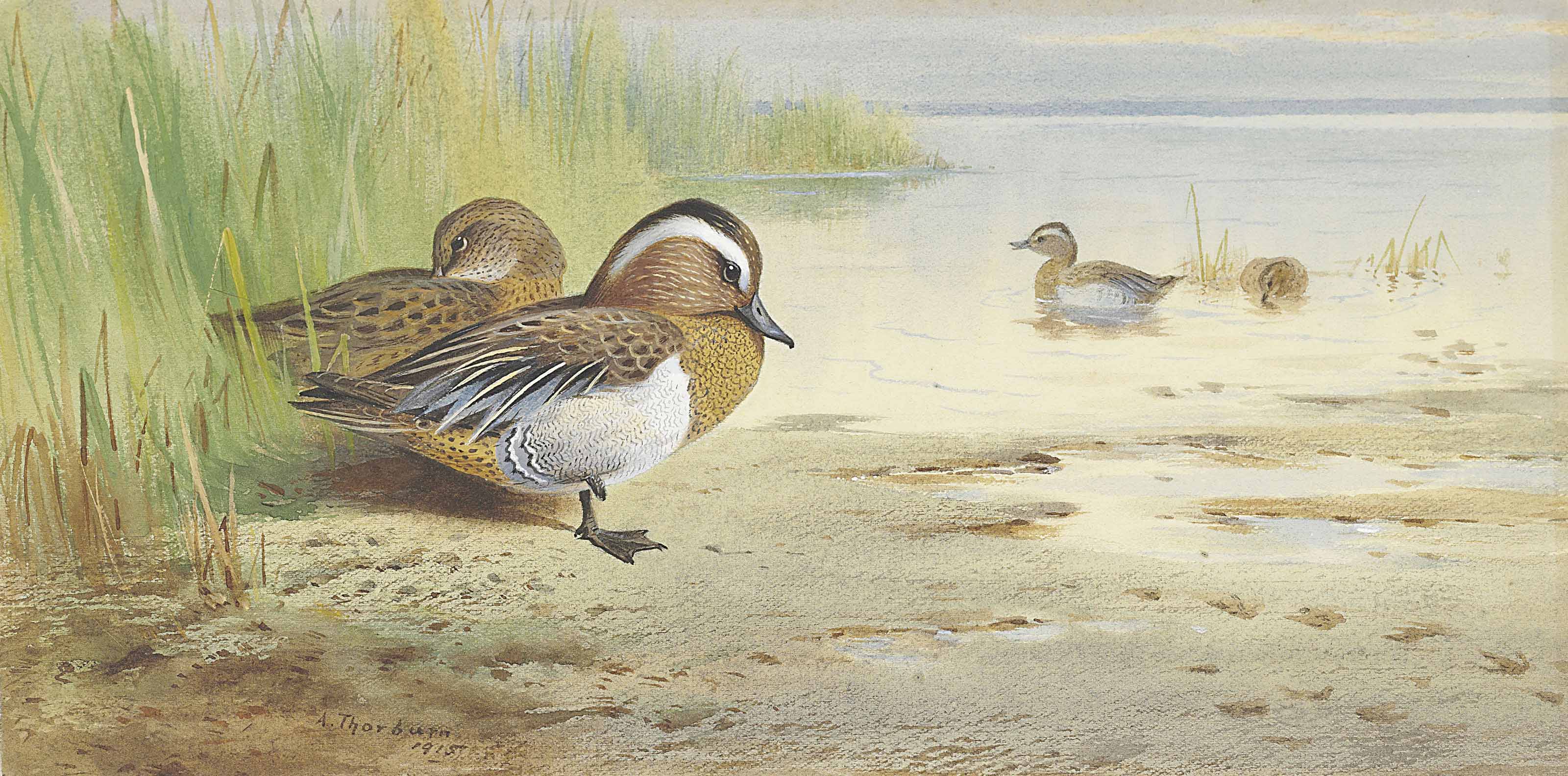 Archibald Thorburn (1860-1935)