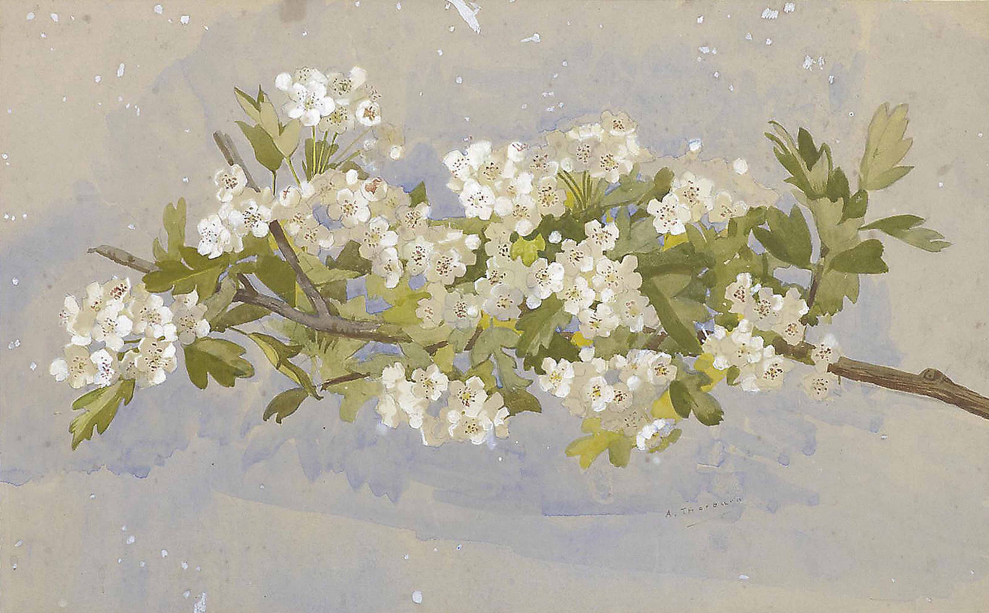 Archibald Thorburn (1860-1935), Mayflower | Christie’s