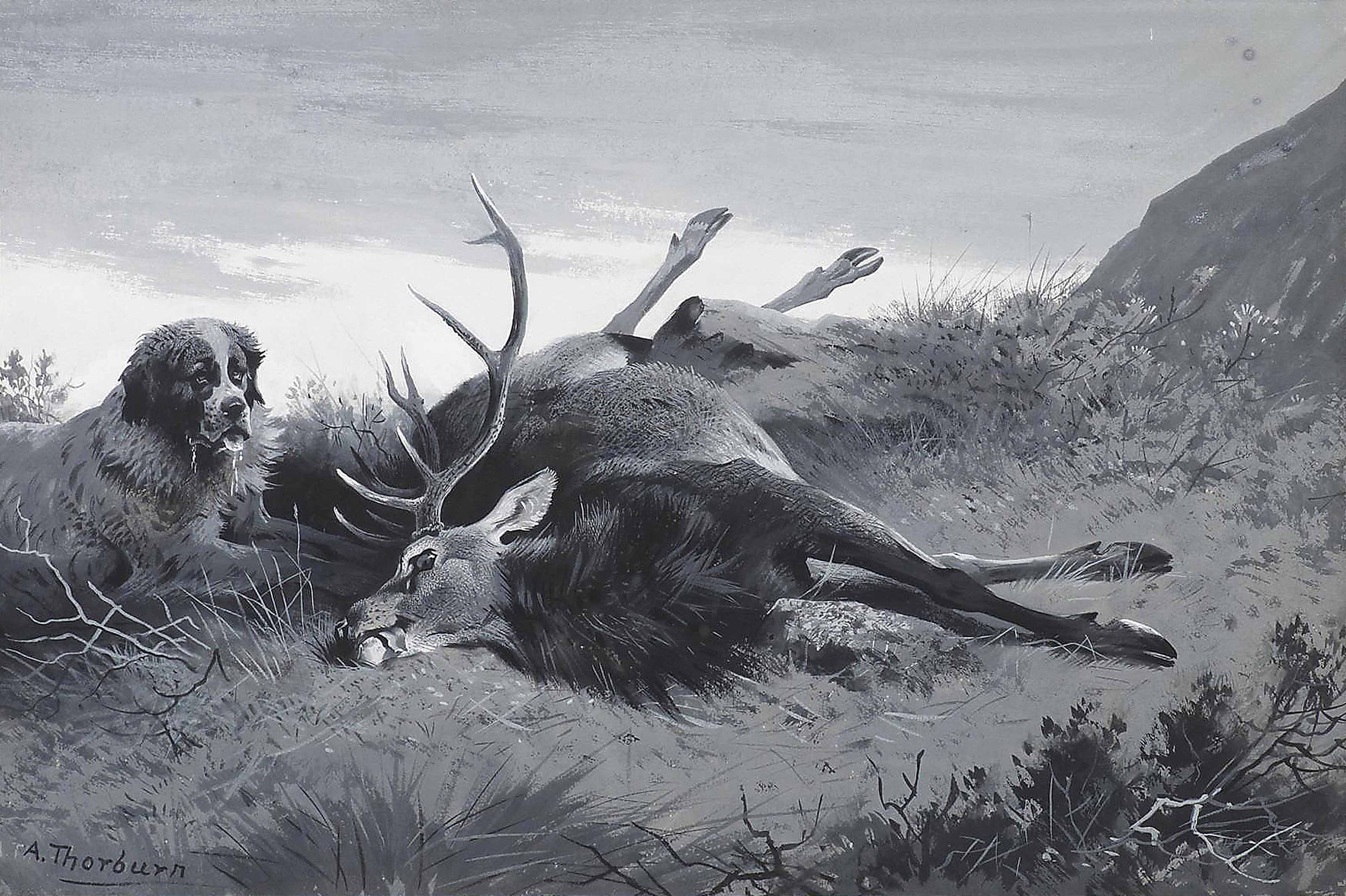 Archibald Thorburn (1860-1935), Cruachan and the ten-pointer | Christie’s