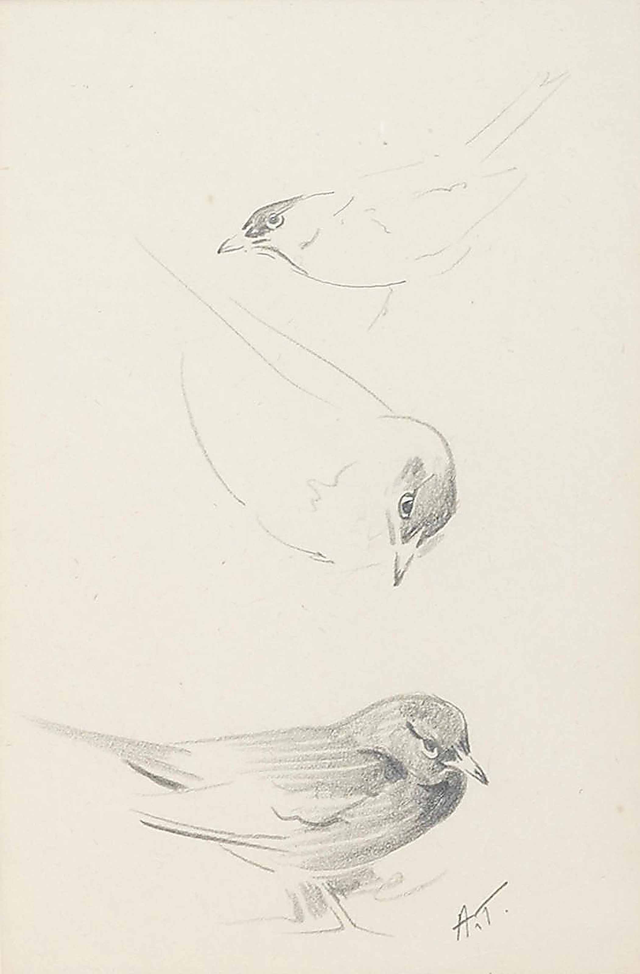 Archibald Thorburn (1860-1935), Studies of a lark | Christie’s