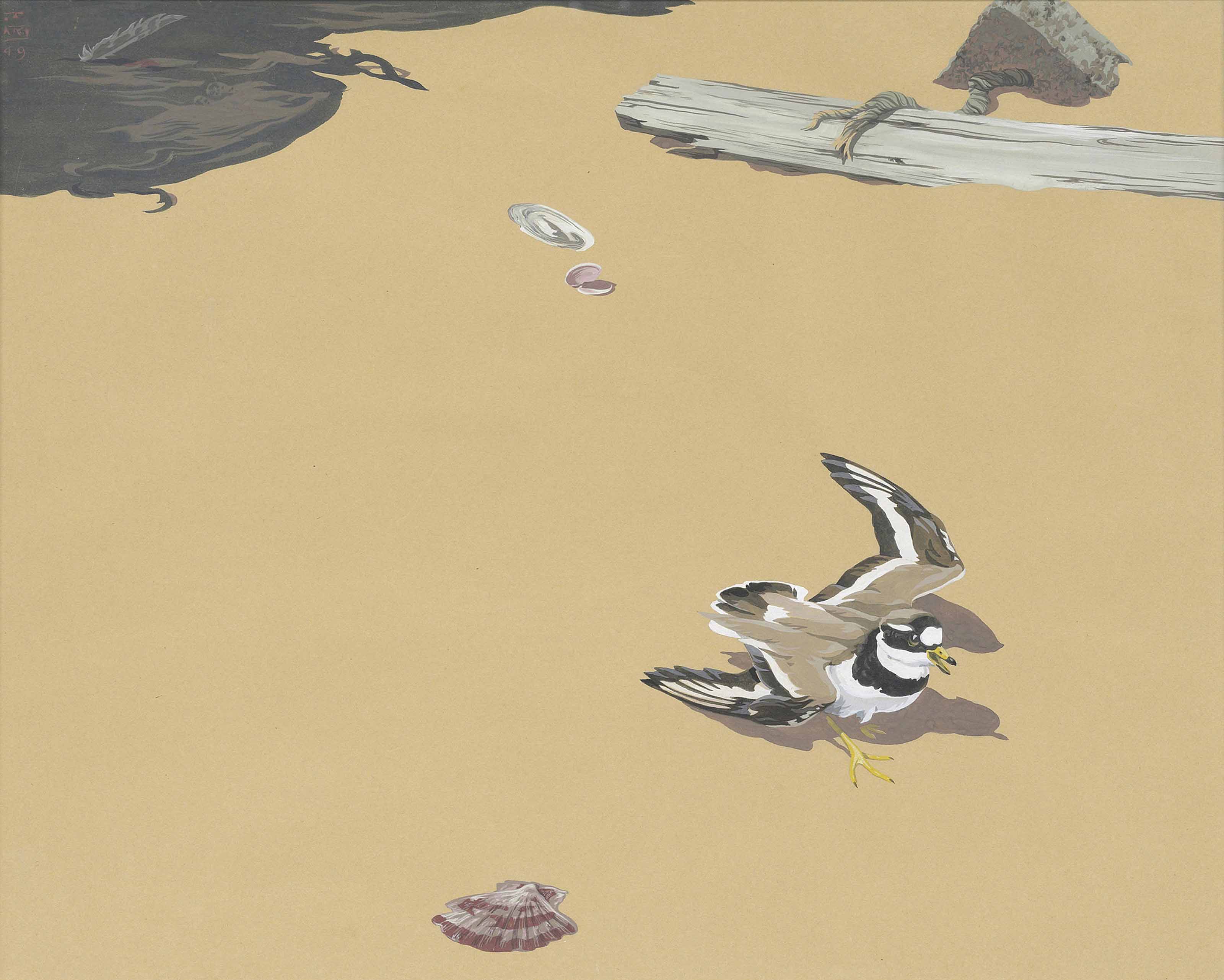 Richard Barrett Talbot Kelly (1896-1971), Study of a ringed plover on ...