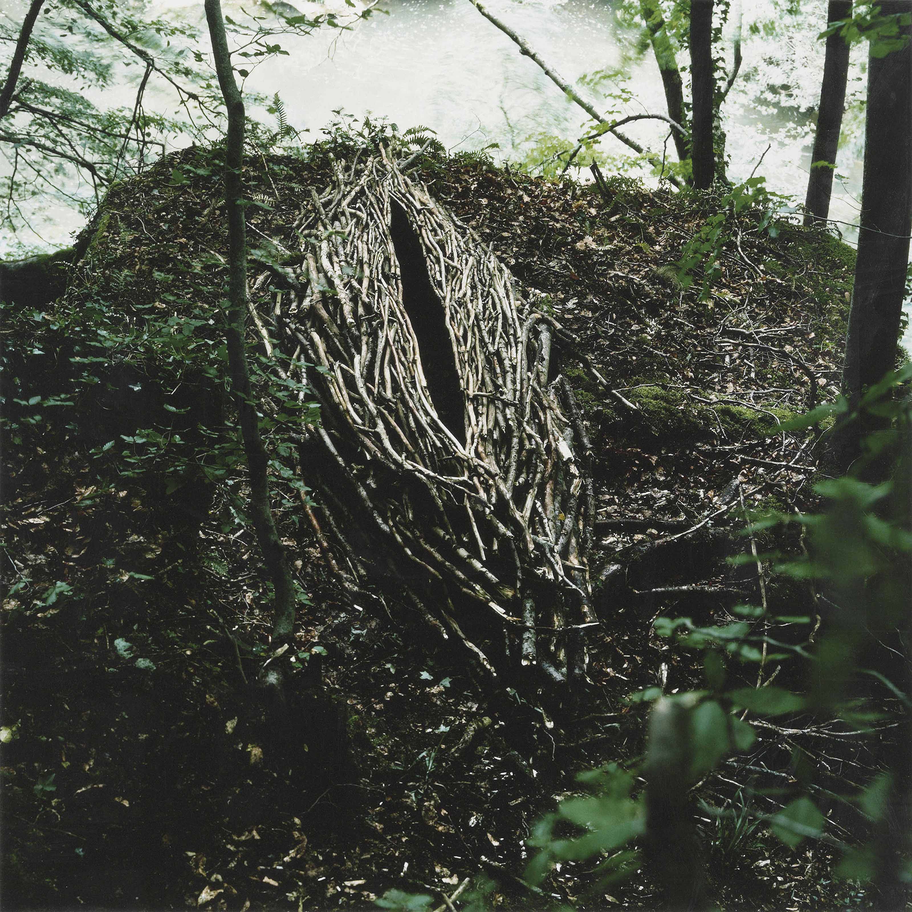 ANDY GOLDSWORTHY (b. 1956), Stacked Sticks Christie’s ANDY GOLDSWORTHY ...