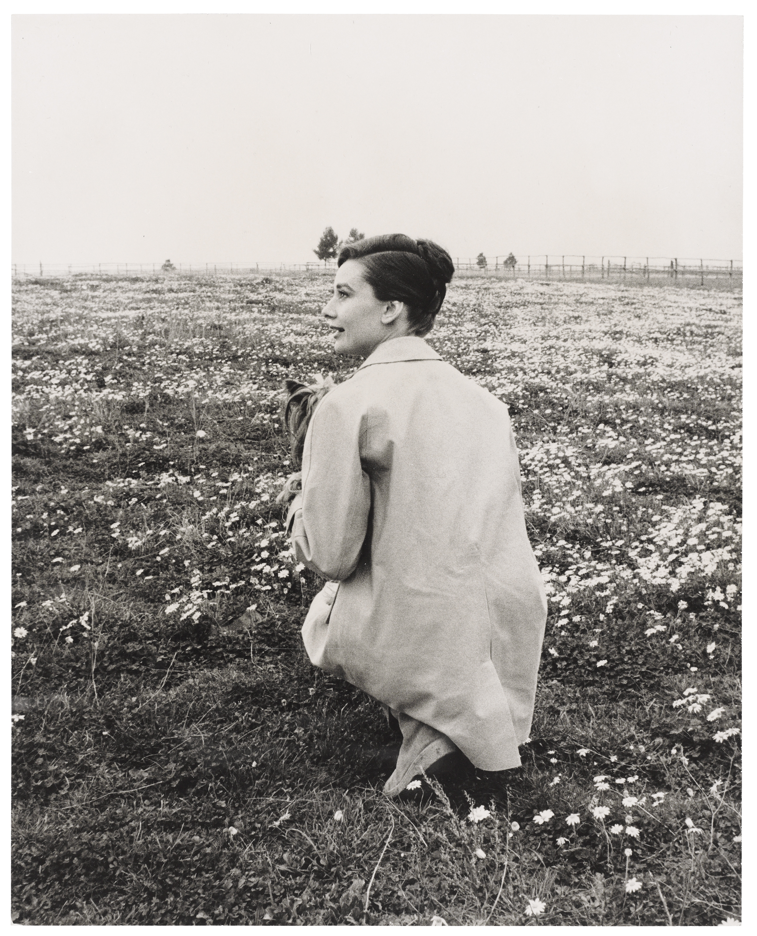 WAR AND PEACE, 1956/PIERLUIGI PRATURLON (1924-1999), Audrey Hepburn ...