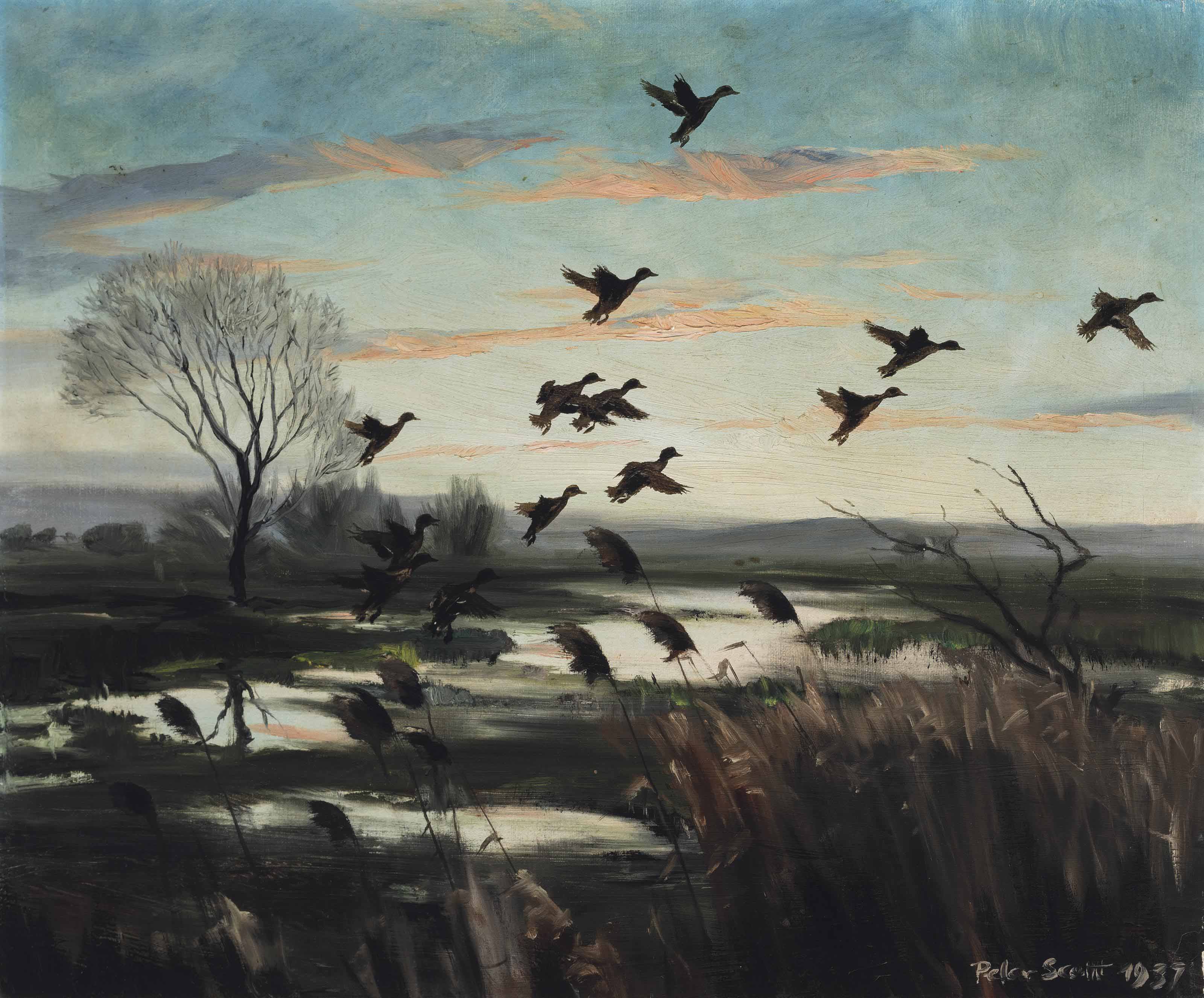 Shoot Four – Steven Butter MA