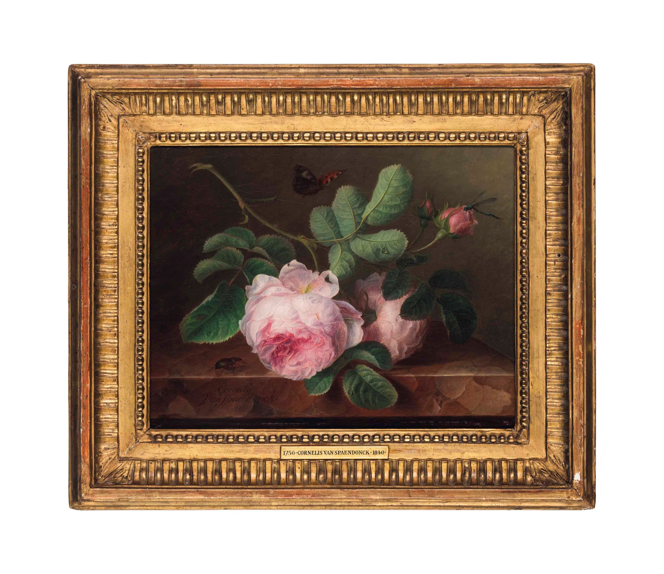 Cornelis van Spaendonck (Tilburg 1756-1840 Paris), Roses on a marble ...