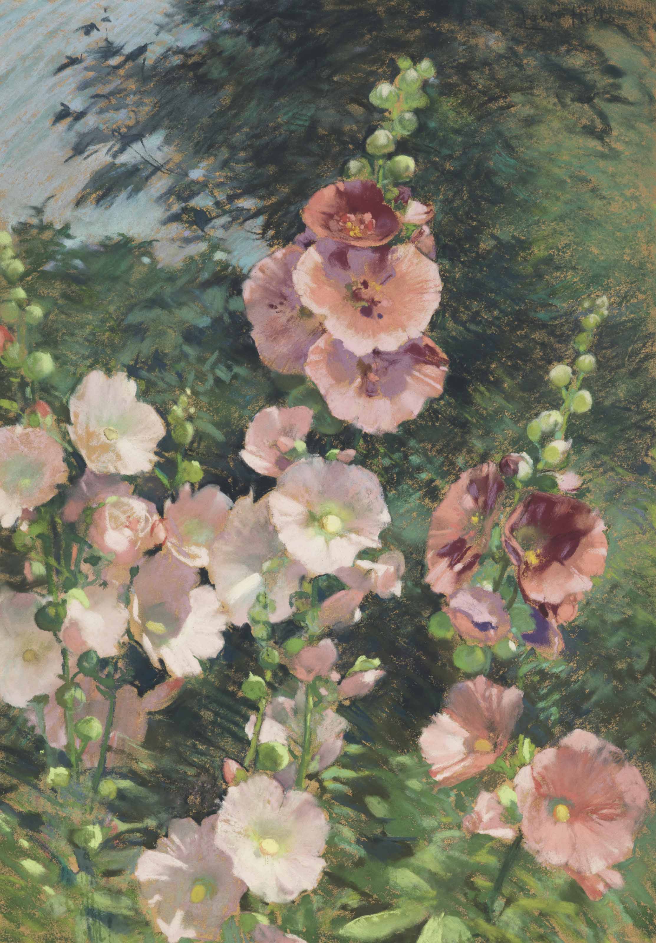 Laura Coombs Hills (1859-1952), Hollyhocks in the Sunshine | Christie’s