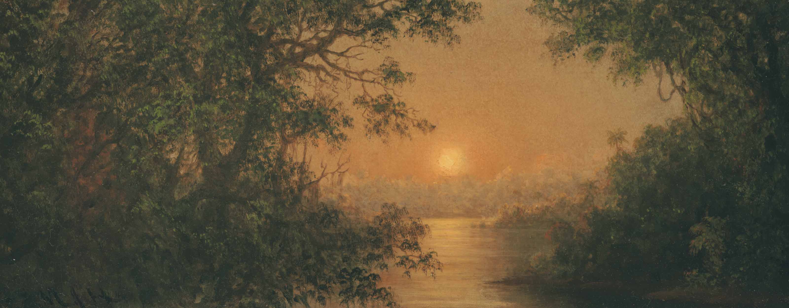 Martin Johnson Heade (1819-1904), Jungle Scene | Christie’s