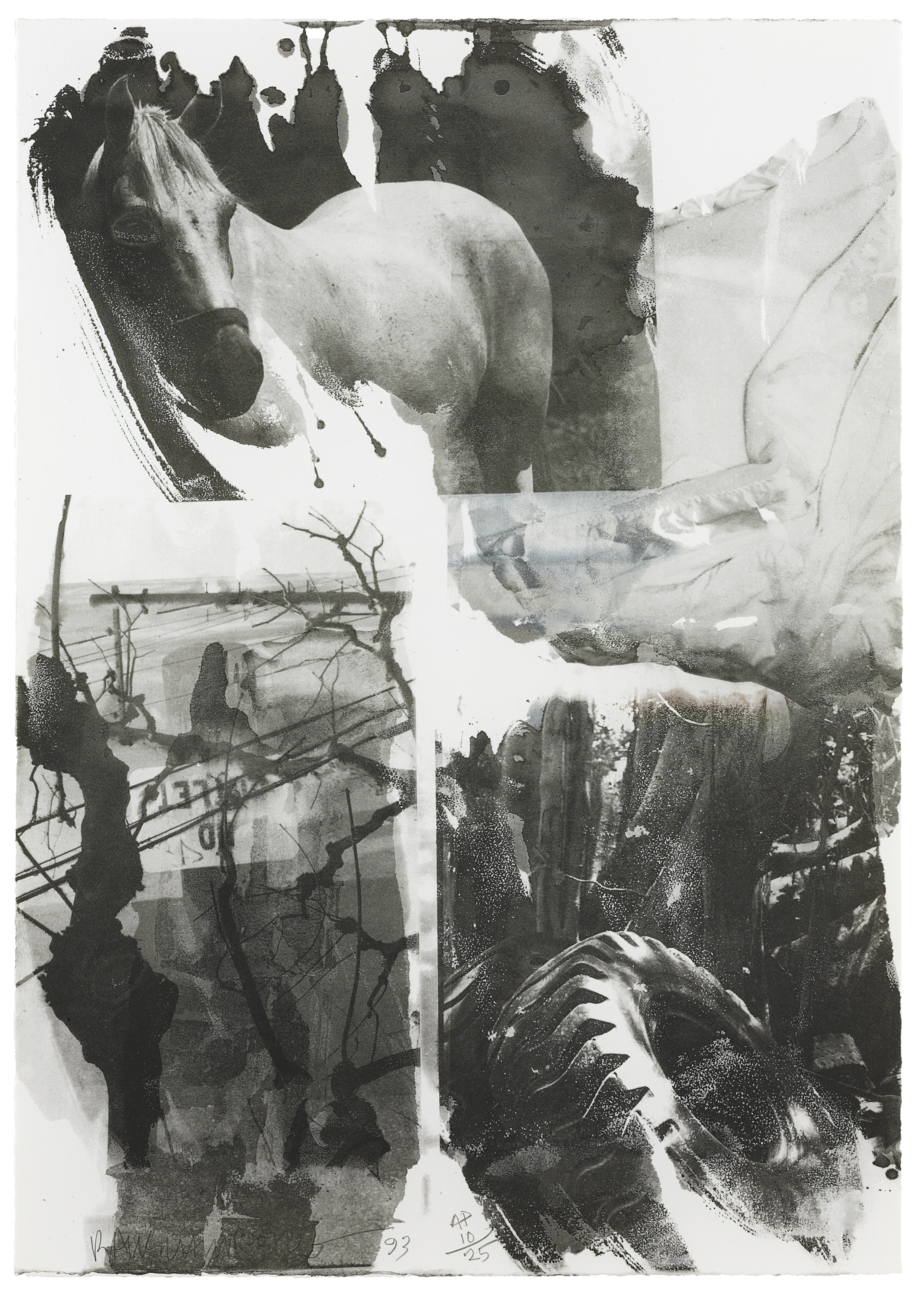 ROBERT RAUSCHENBERG (1925-2008), Horse Silk, from Night Sights Series ...