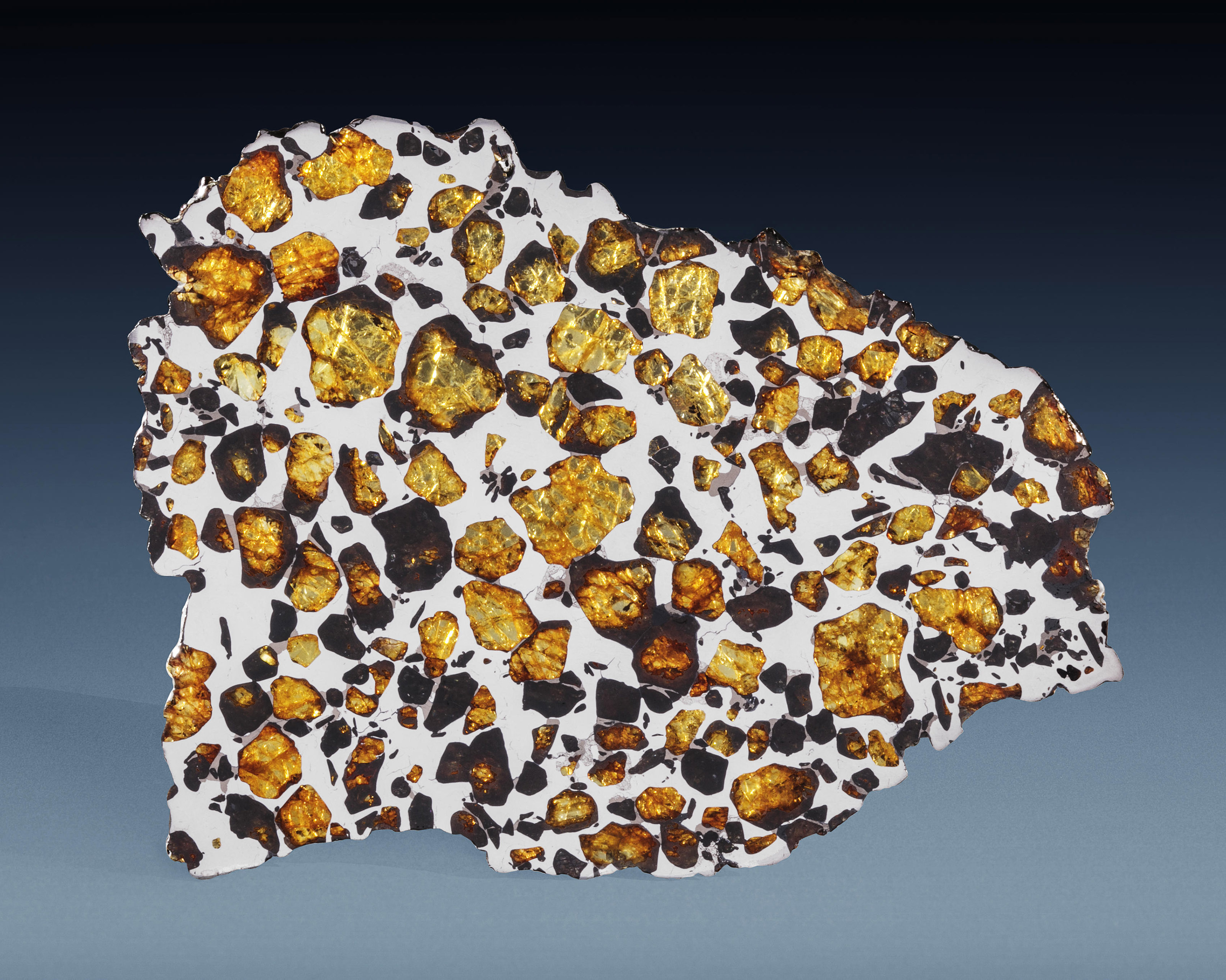 A COMPLETE SLICE OF IMILAC METEORITE, STONY IRON. PALLASITE (PAL ...
