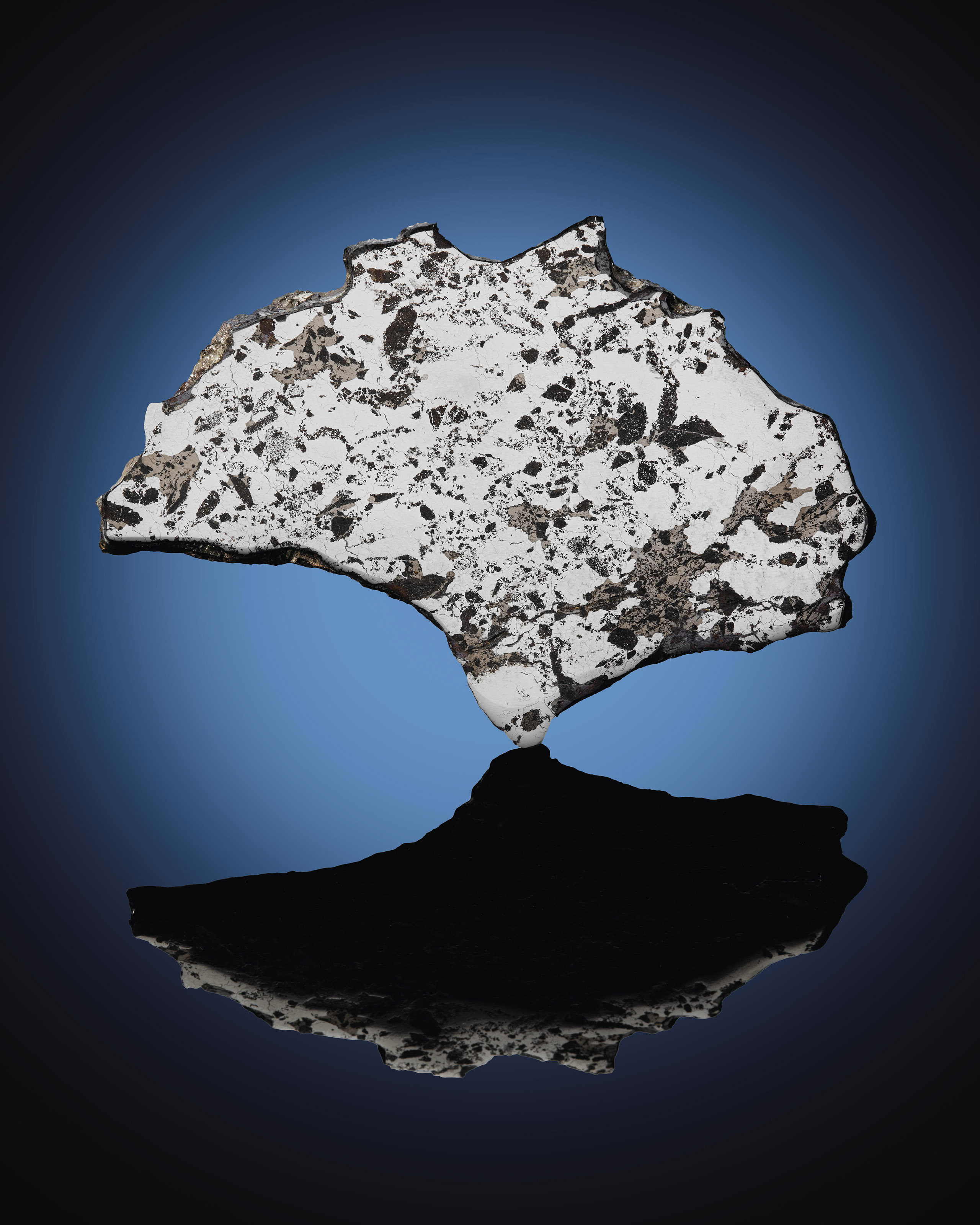 A COMPLETE SLICE OF THE ZAGORA METEORITE, IRON, IAB WITH SILICATE ...