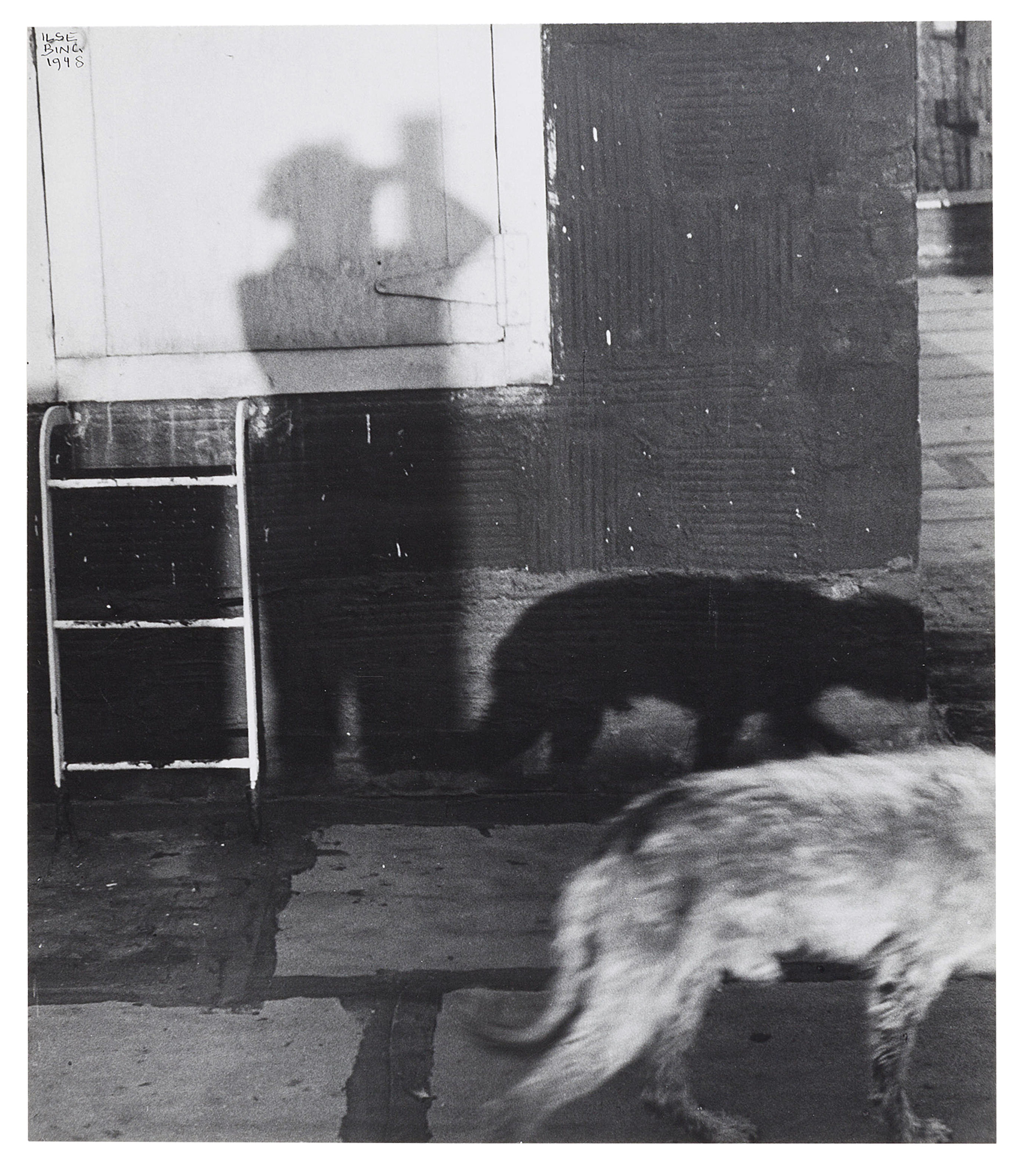 ILSE BING (1899–1998), My Shadow with Dog, 1948 | Christie’s