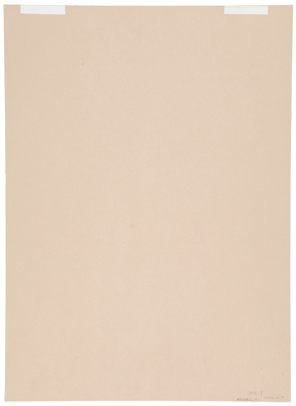 EDWARD STEICHEN (1879–1973), Self Portrait with Photographic ...