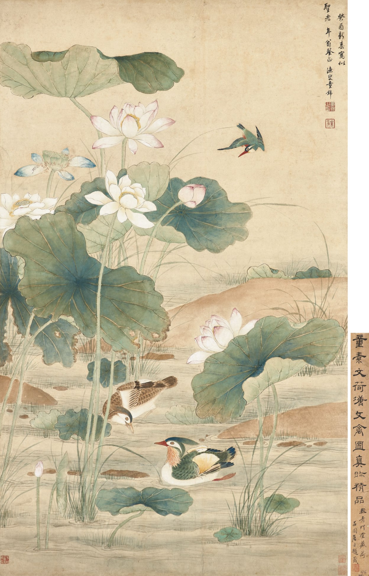 TONG JIN (18TH-19TH CENTURY), Lotus and Mandarin Ducks | Christie's