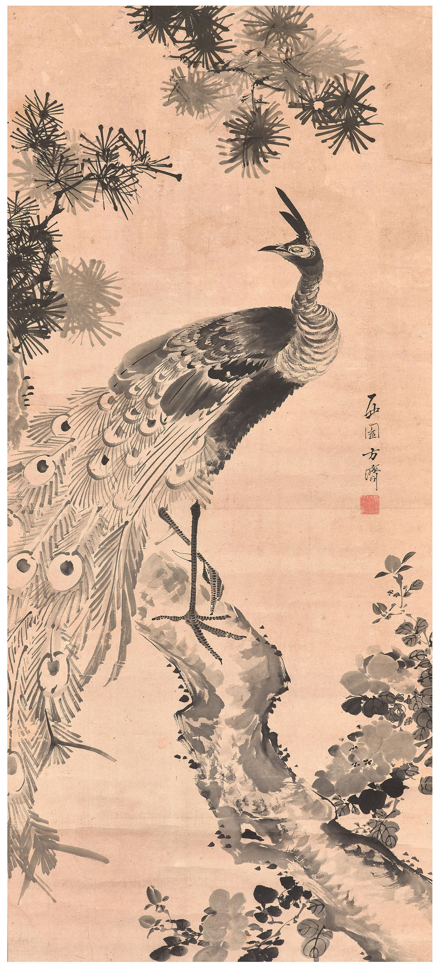 FANG JI (18TH CENTURY), Peacock | Christie’s