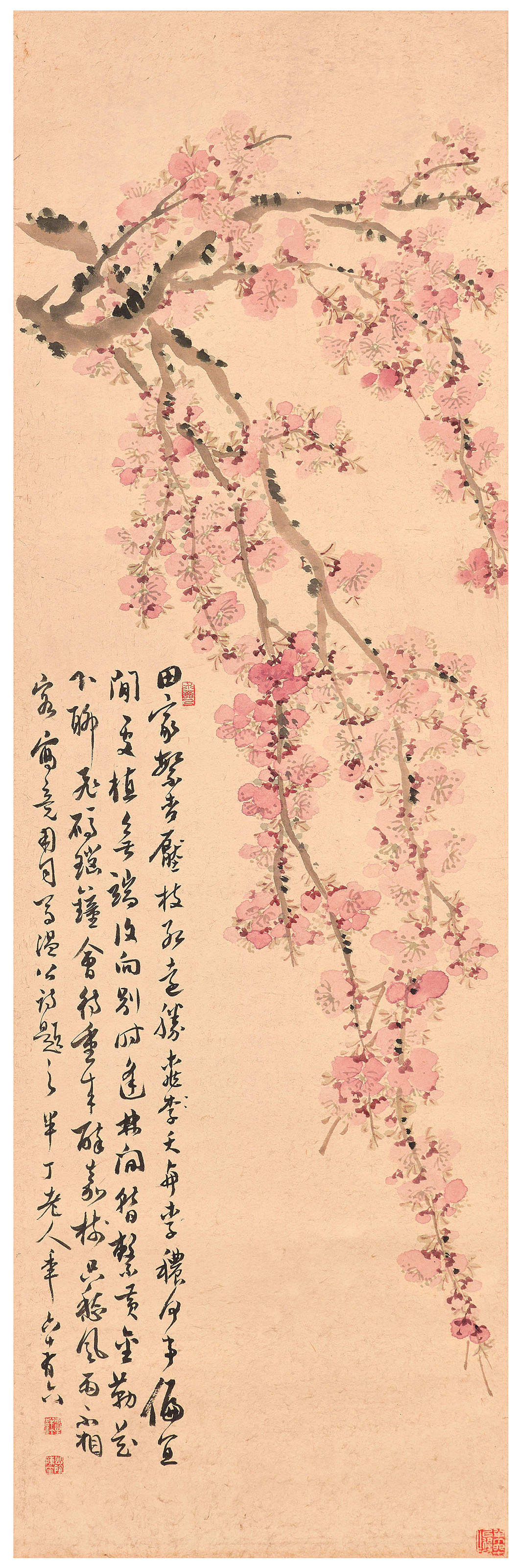 CHEN BANDING (1876-1970), Apricot Blossom | Christie’s
