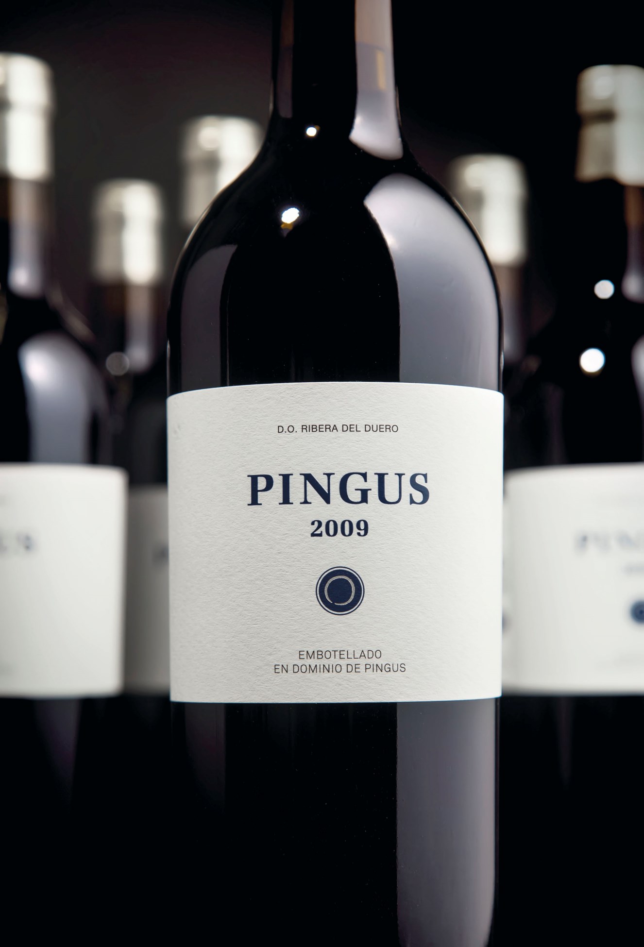 Dominio de Pingus 2009 | Christie's