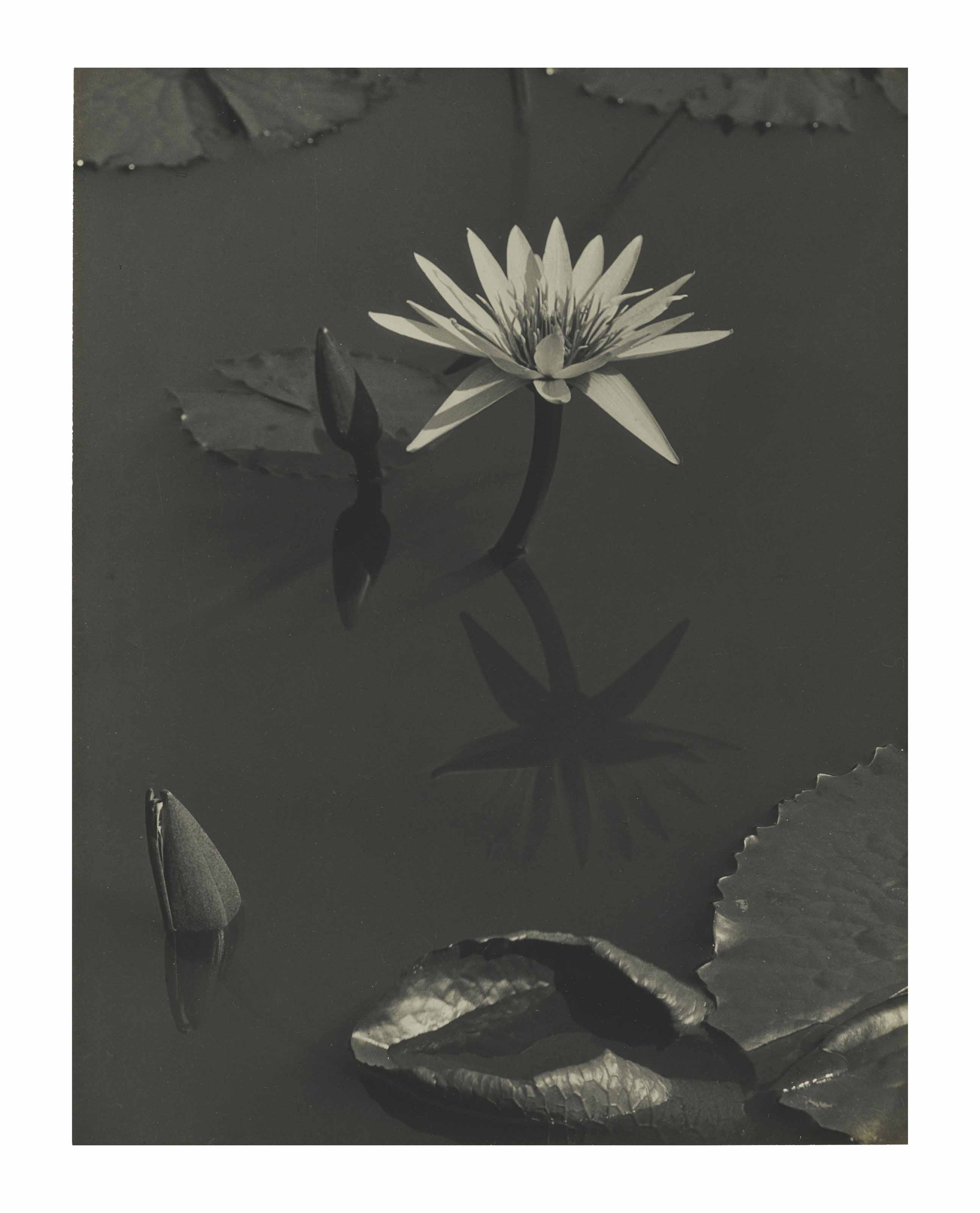 CHARLES SHEELER (1883–1965)