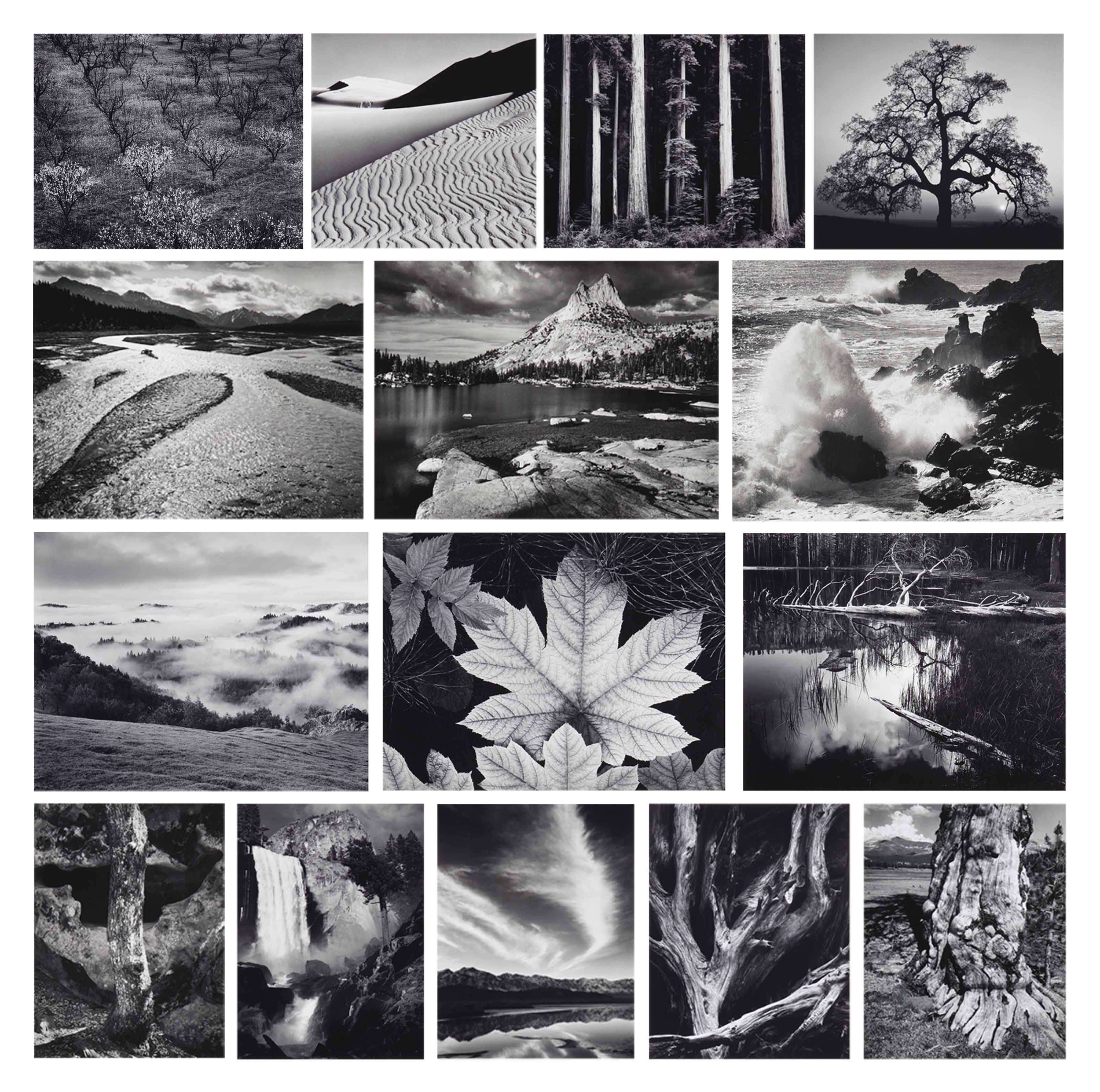 ANSEL ADAMS (1902–1984)