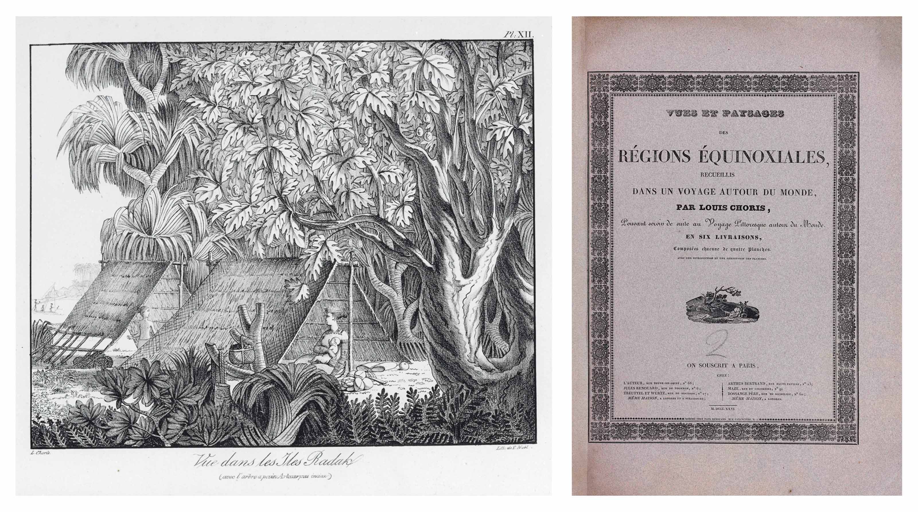 Louis Choris: upcoming auctions, appraisal insights and free art price ...