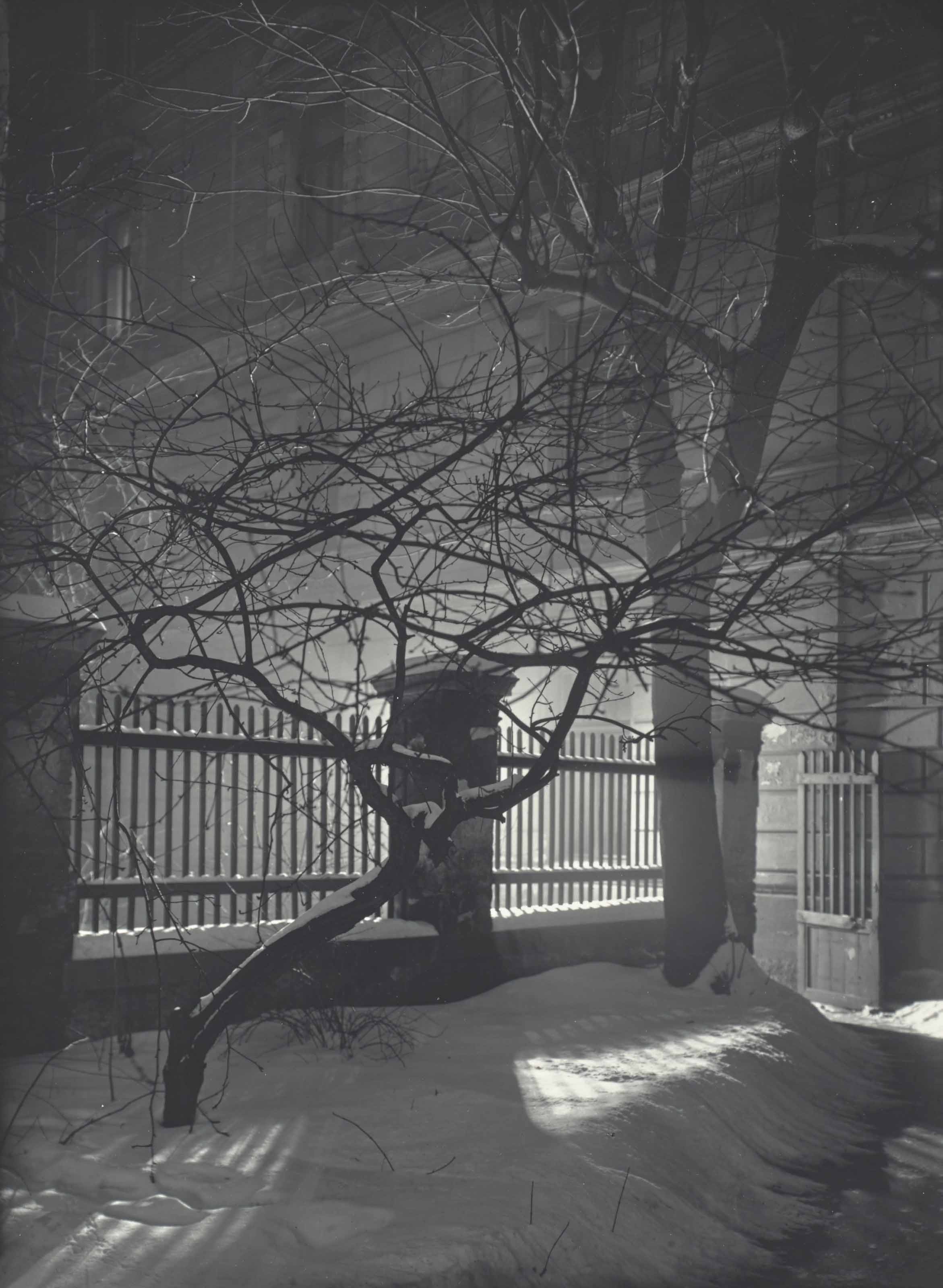 JOSEF SUDEK (1896-1976)