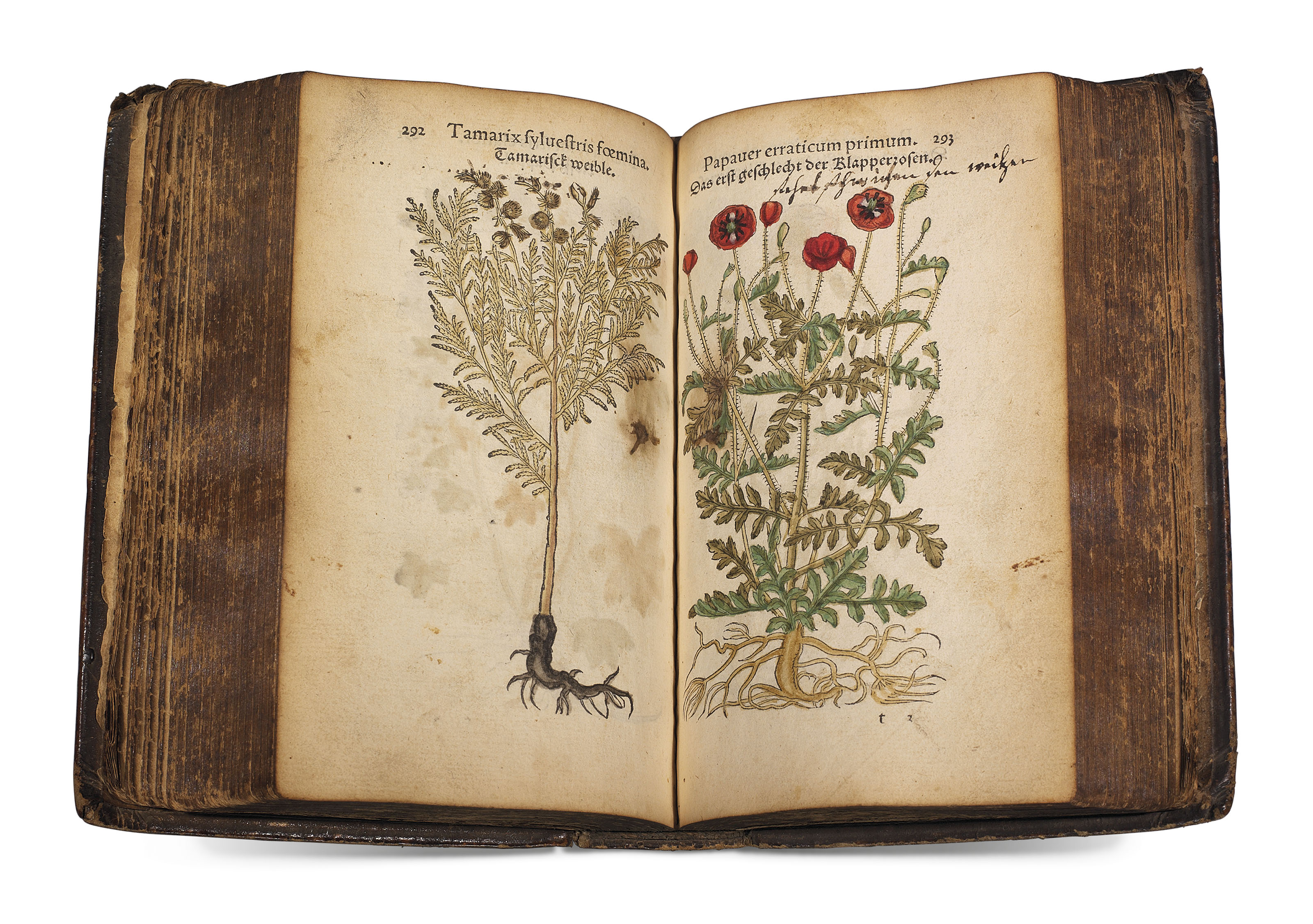 FUCHS, Leonhart (1501-66). De stirpium historia commentariorum tomi ...