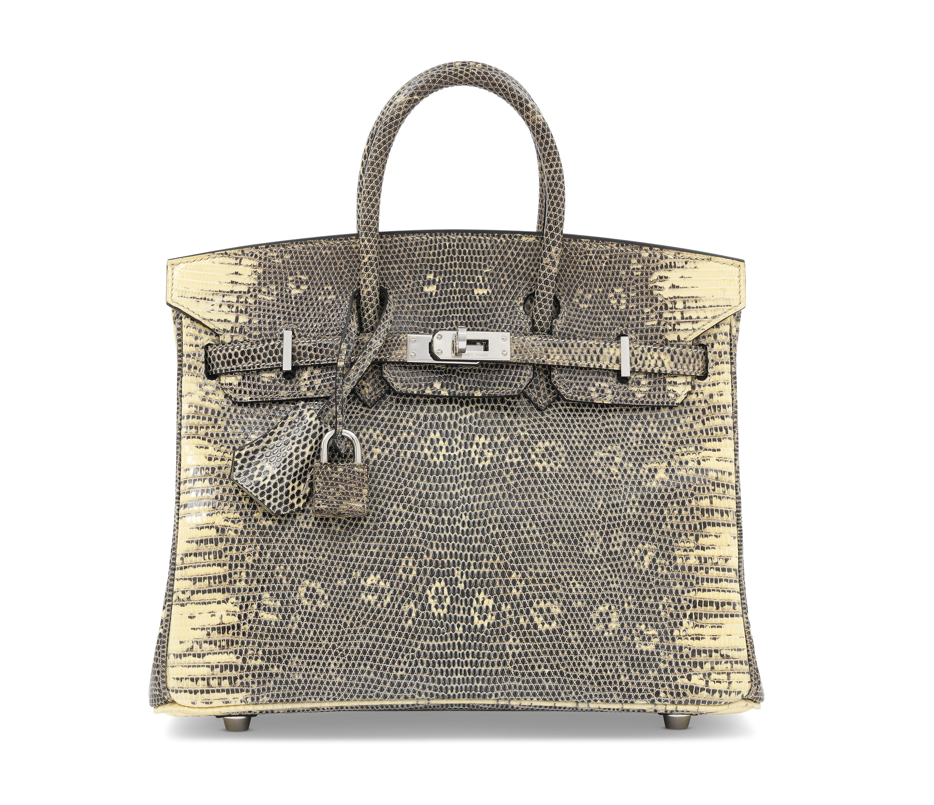 A RARE, OMBRÉ SALVATOR LIZARD BIRKIN 25 WITH PALLADIUM HARDWARE