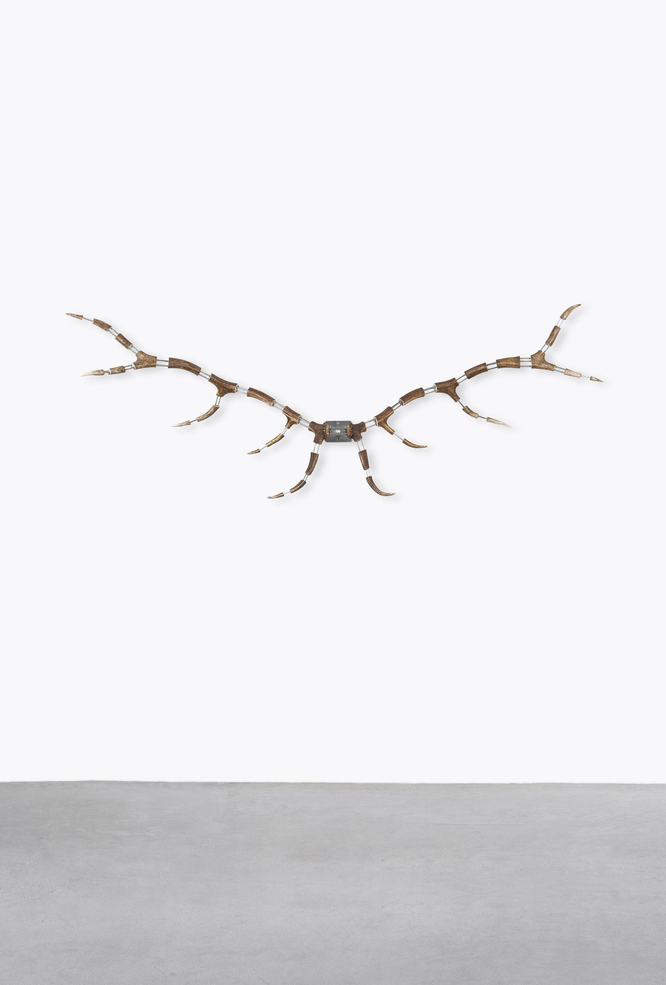 Michael Joo (B. 1966), Image (Symmet.) | Christie’s