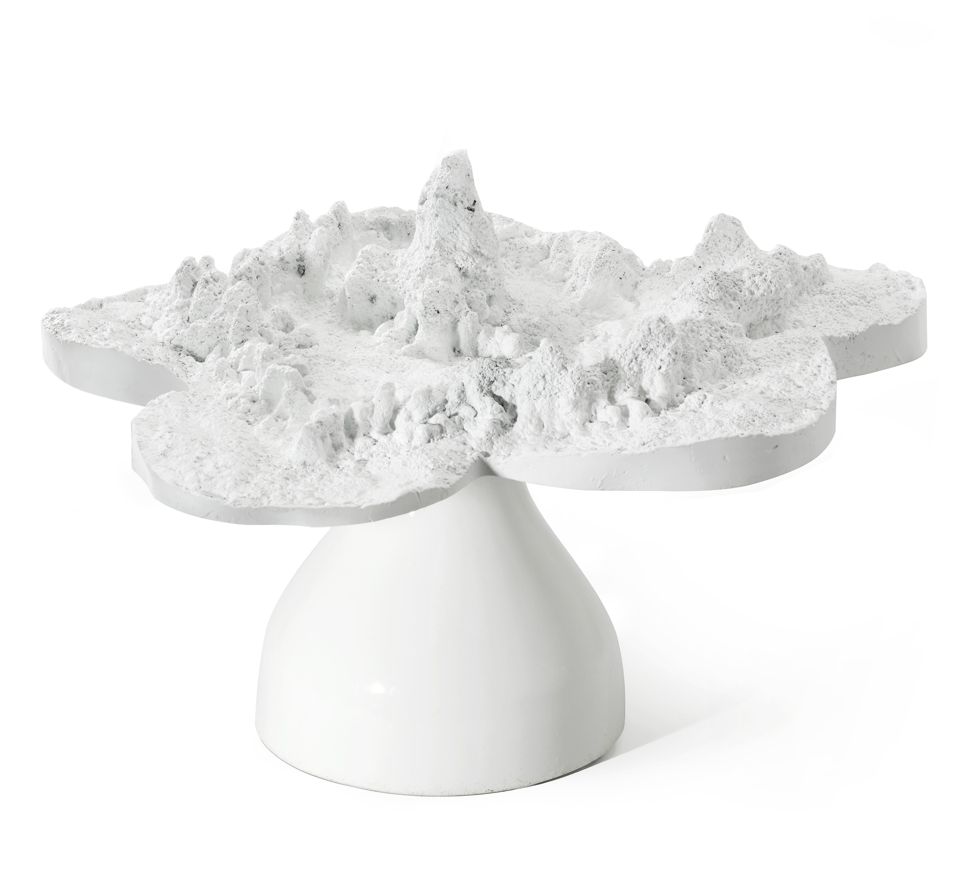 Helen Chadwick (1953-1996), Piss Flowers | Christie’s