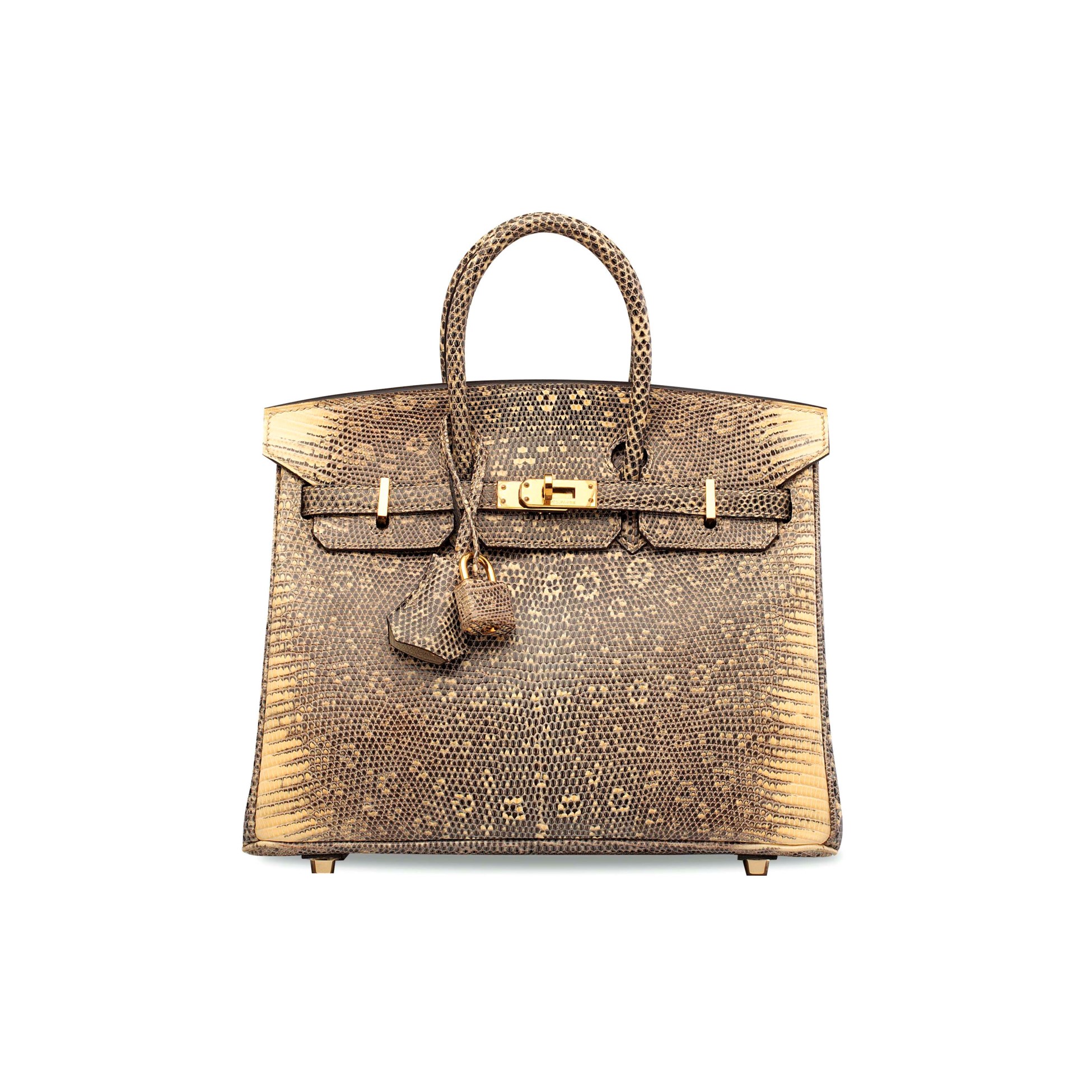 A RARE, SHINY OMBRÉ SALVATOR LIZARD BIRKIN 25 WITH GOLD HARDWARE ...