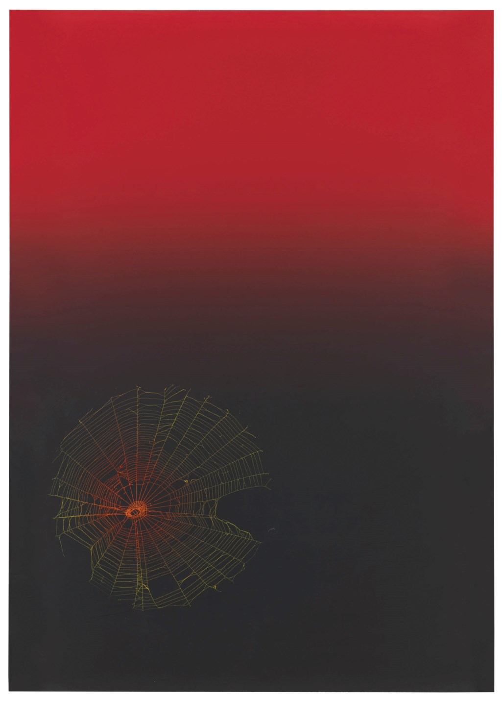 PAE WHITE (b. 1963), Web Sampler #44 | Christie’s