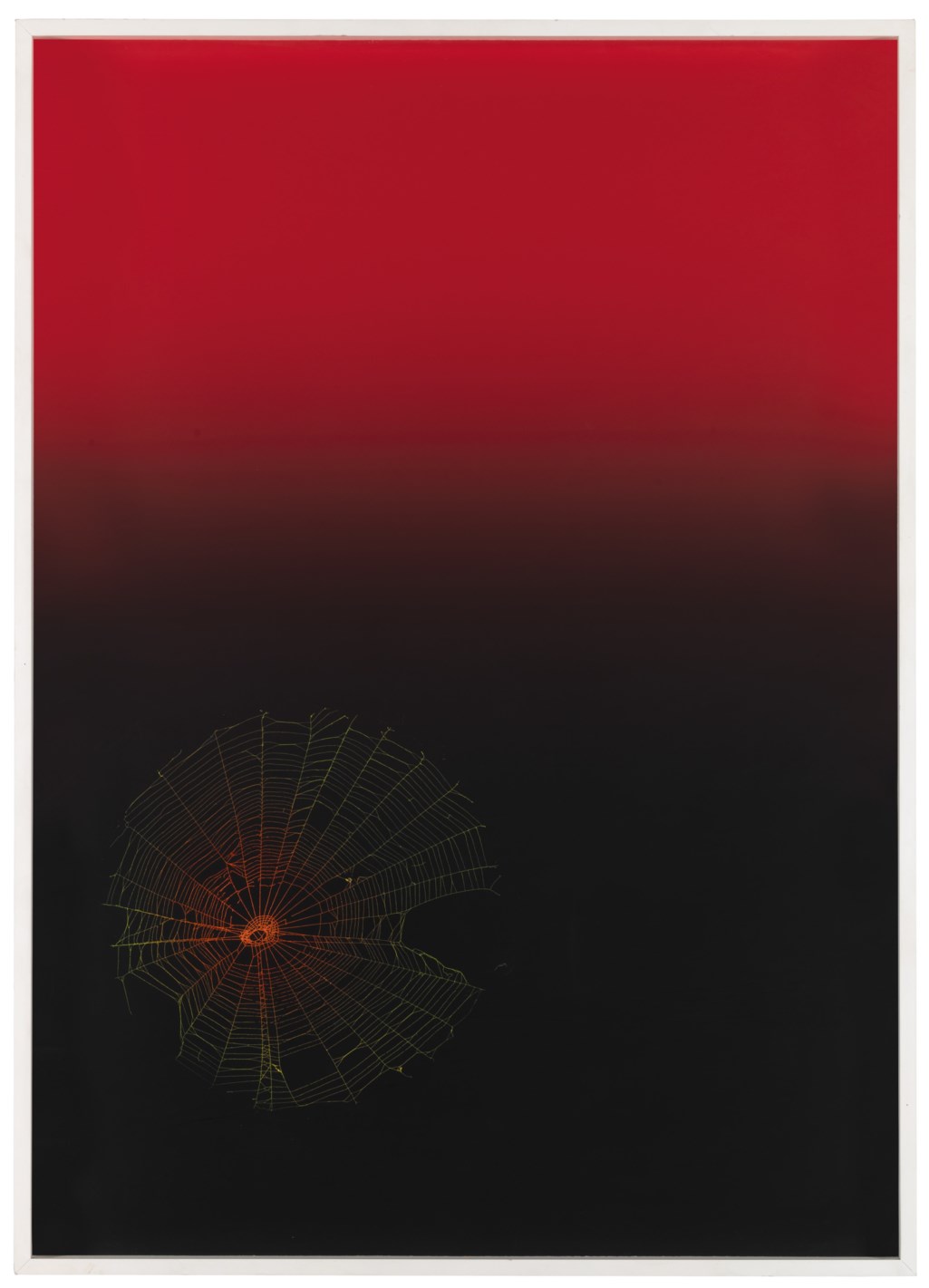 PAE WHITE (b. 1963), Web Sampler #44 | Christie’s