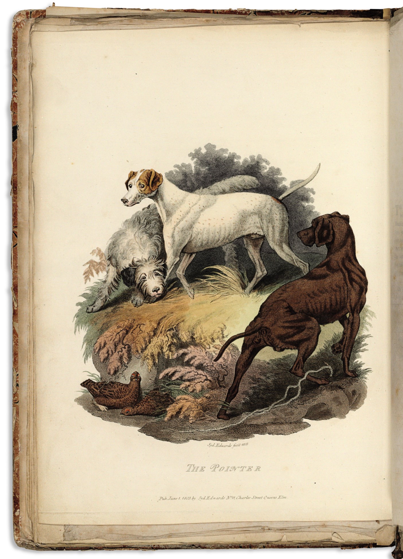 EDWARDS, Sydenham (c.1769-1819). Cynographia Britannica: Consisting of ...