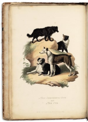 EDWARDS, Sydenham (c.1769-1819). Cynographia Britannica: Consisting of ...