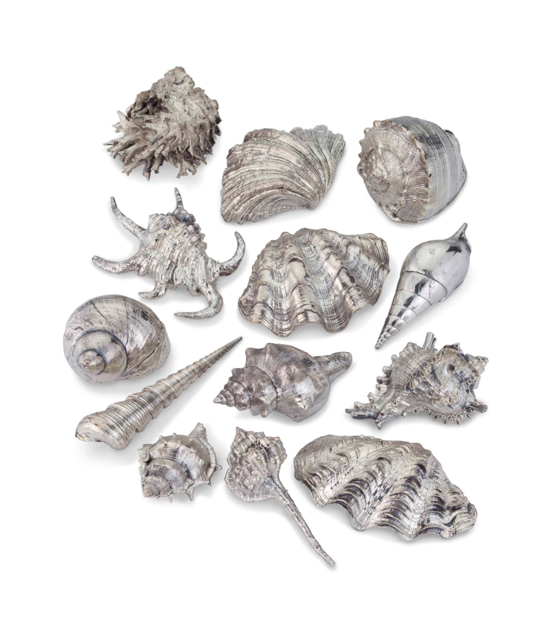 A GROUP OF THIRTEEN ITALIAN SILVER-MOUNTED SEASHELLS, TWELVE WITH MARK ...