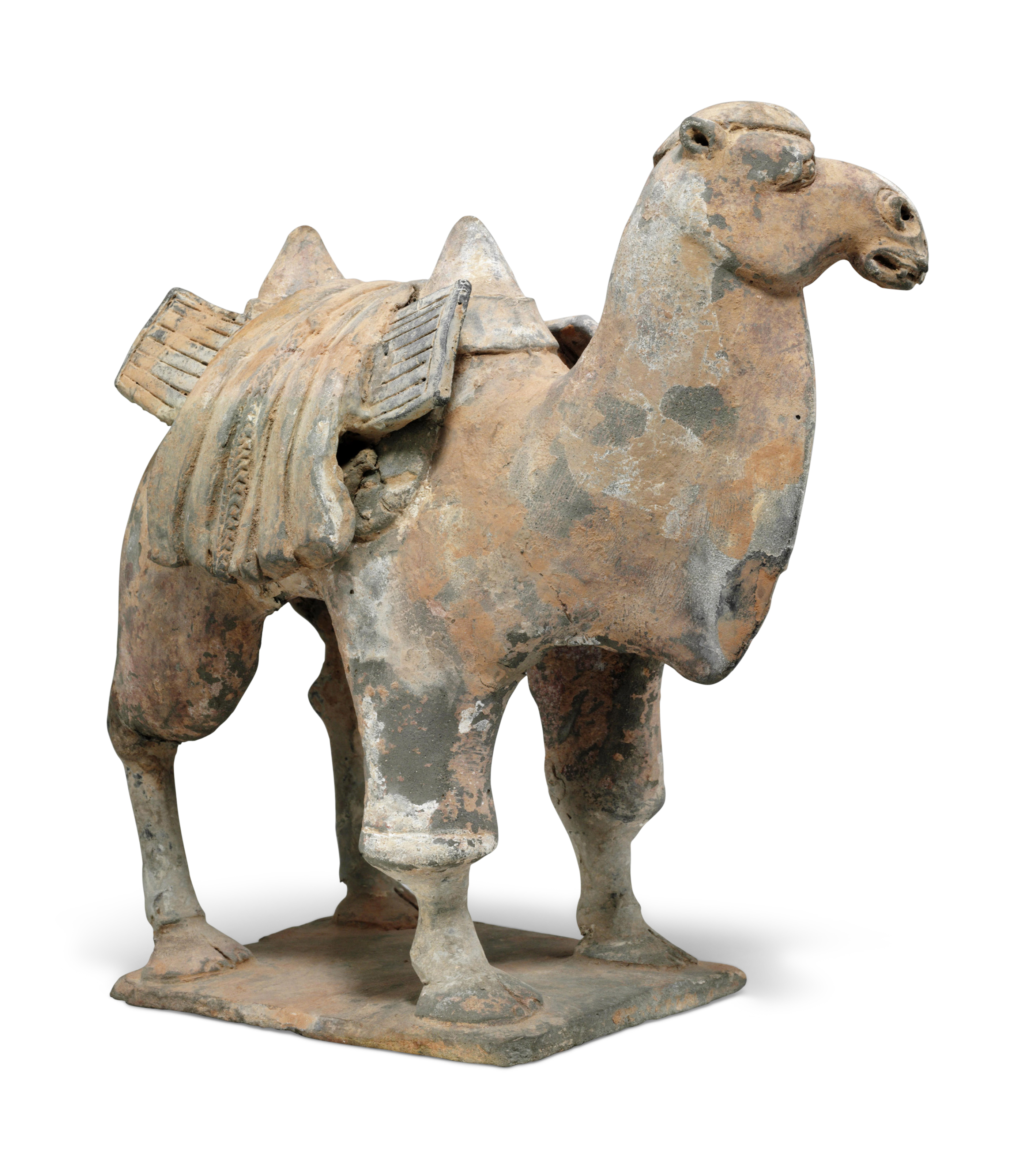 A GREY POTTERY FIGURE OF A BACTRIAN CAMEL, NORTHERN QI DYNASTY (AD 386 ...