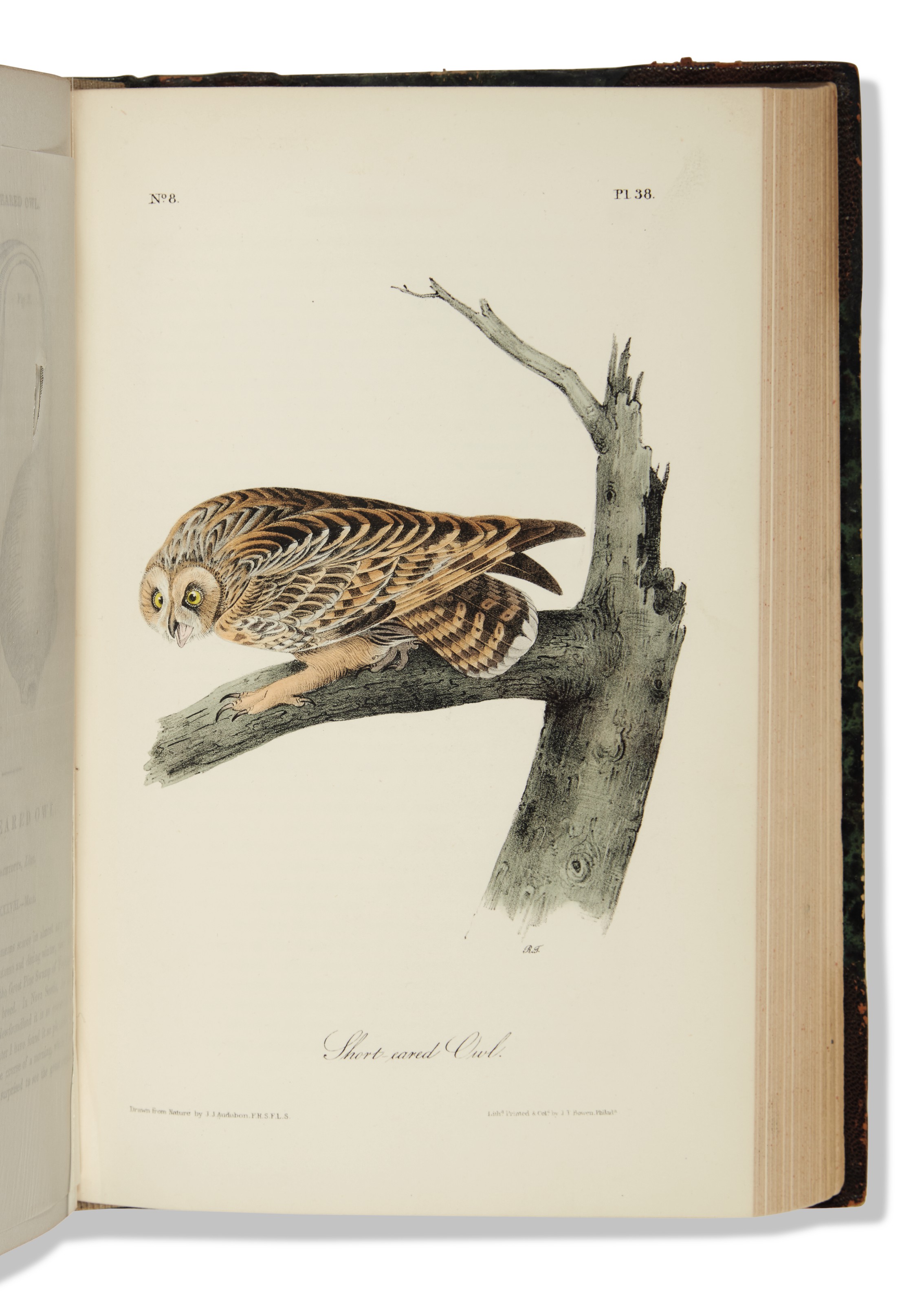 AUDUBON, John James (1785-1851). The Birds of America, From Drawings ...
