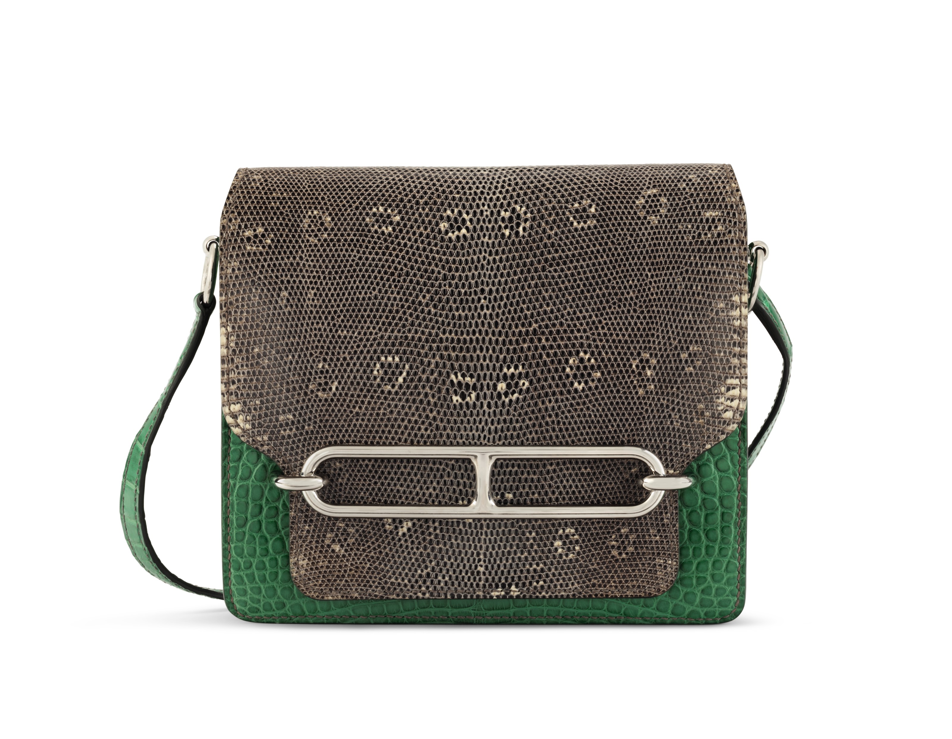 A LIMITED EDITION MATTE CACTUS ALLIGATOR & OMBRÉ LIZARD SAC ROULIS 18 ...
